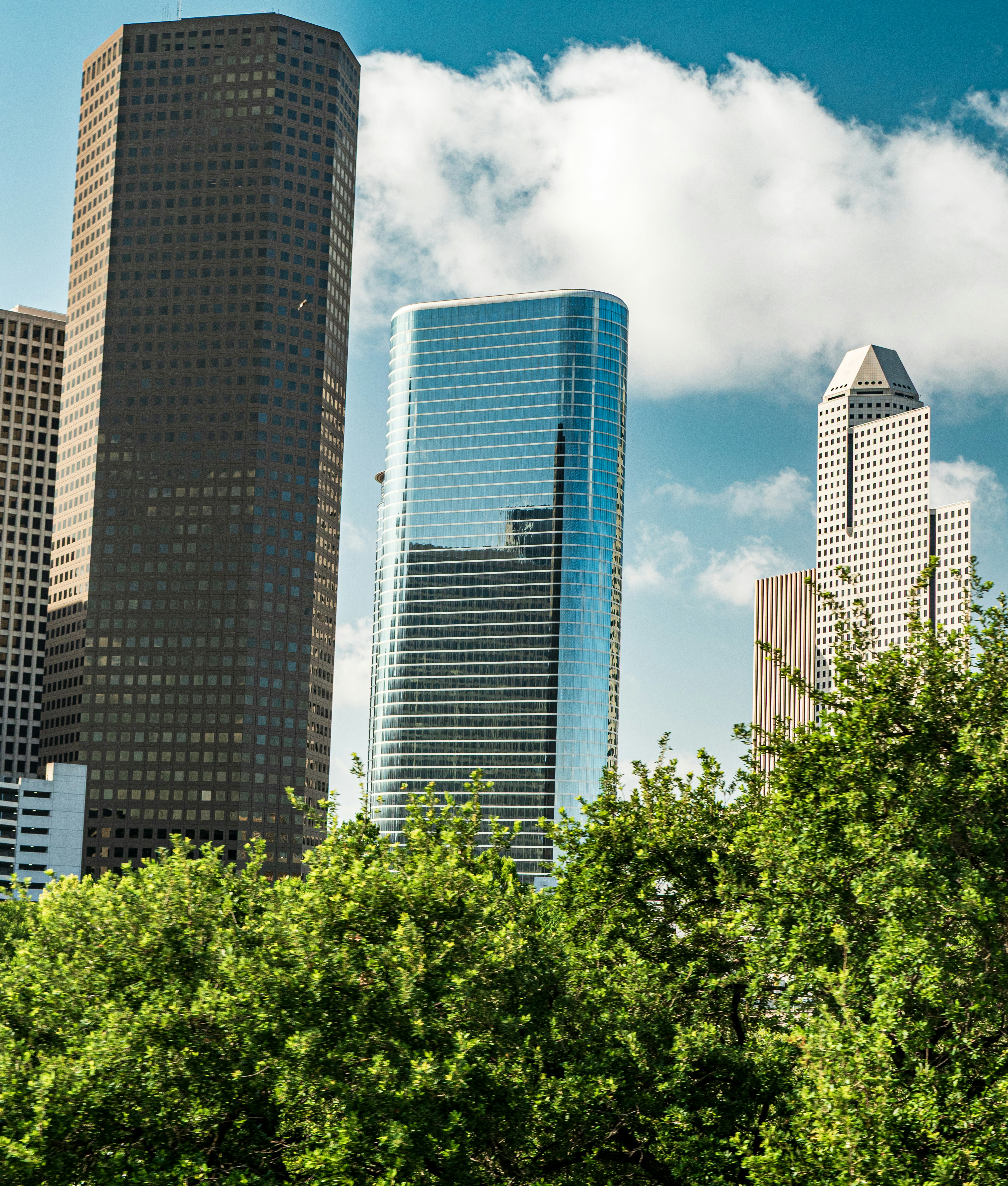 Glass Skyline: A Reflective Tower Amid Emerald Canopy