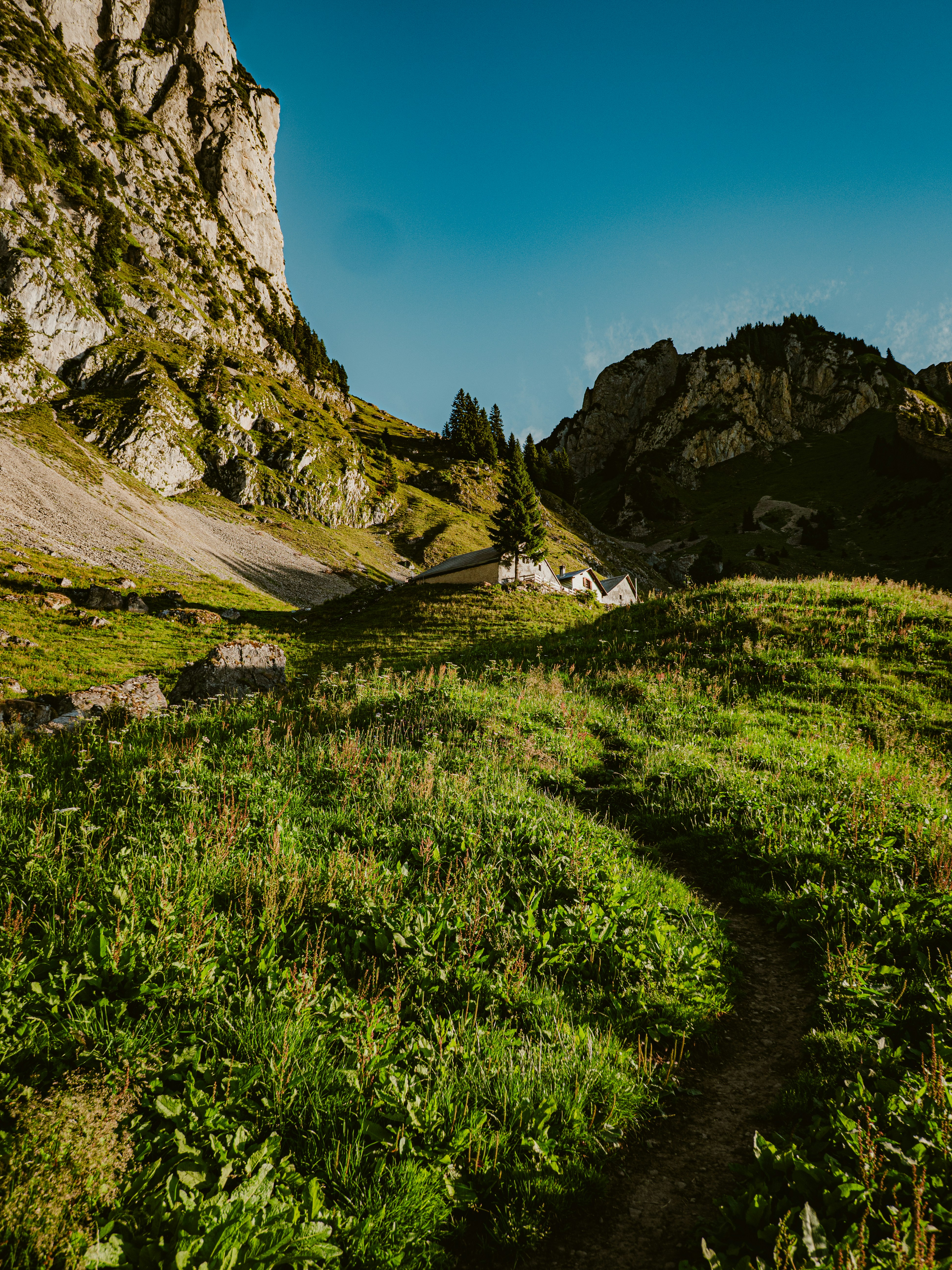 Trail to a Mountain Camp beneath a Crisp Alpine Sky