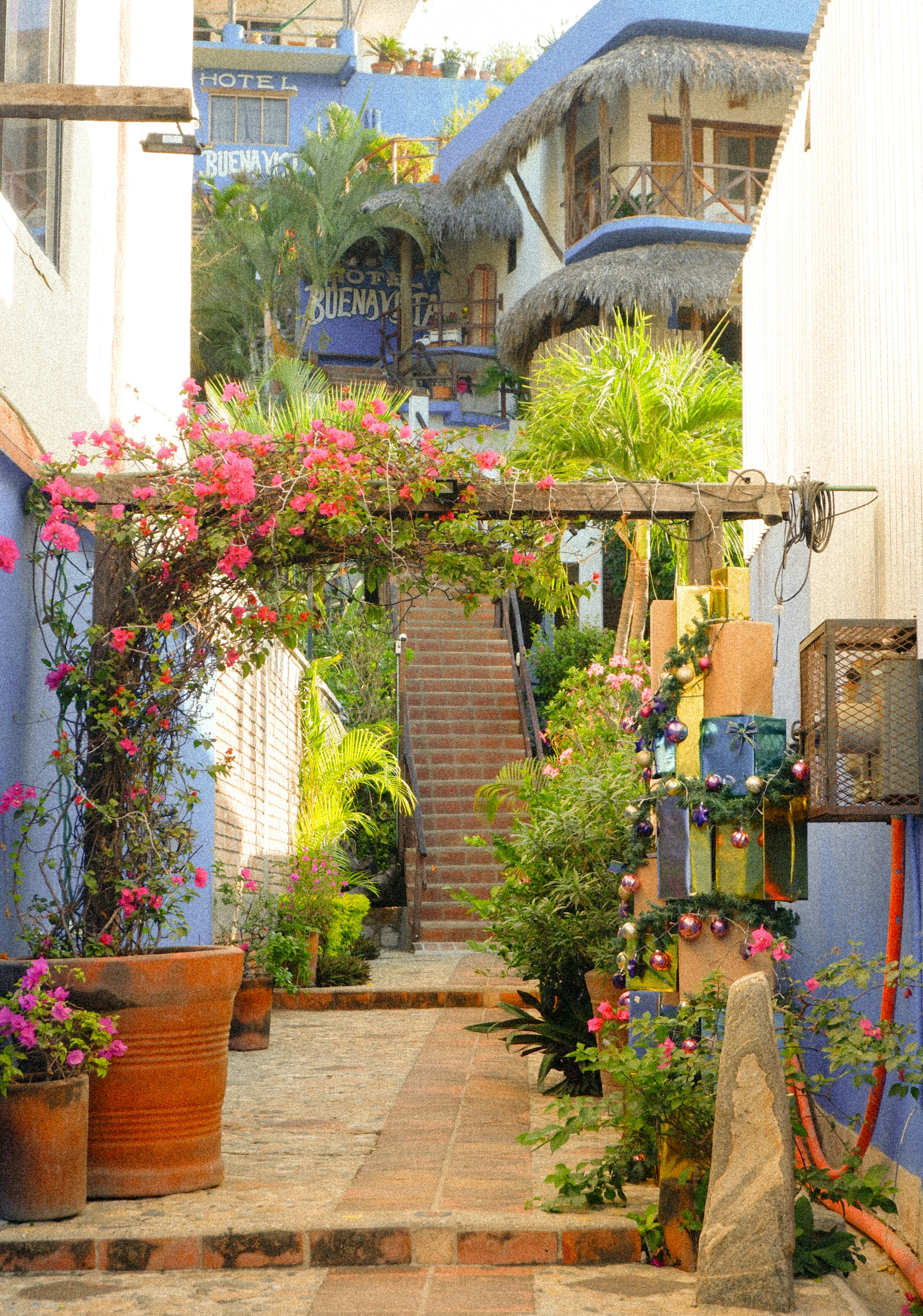 Alleyway Oasis: Flowered Corridor Leading to Blue-Wated Balconies