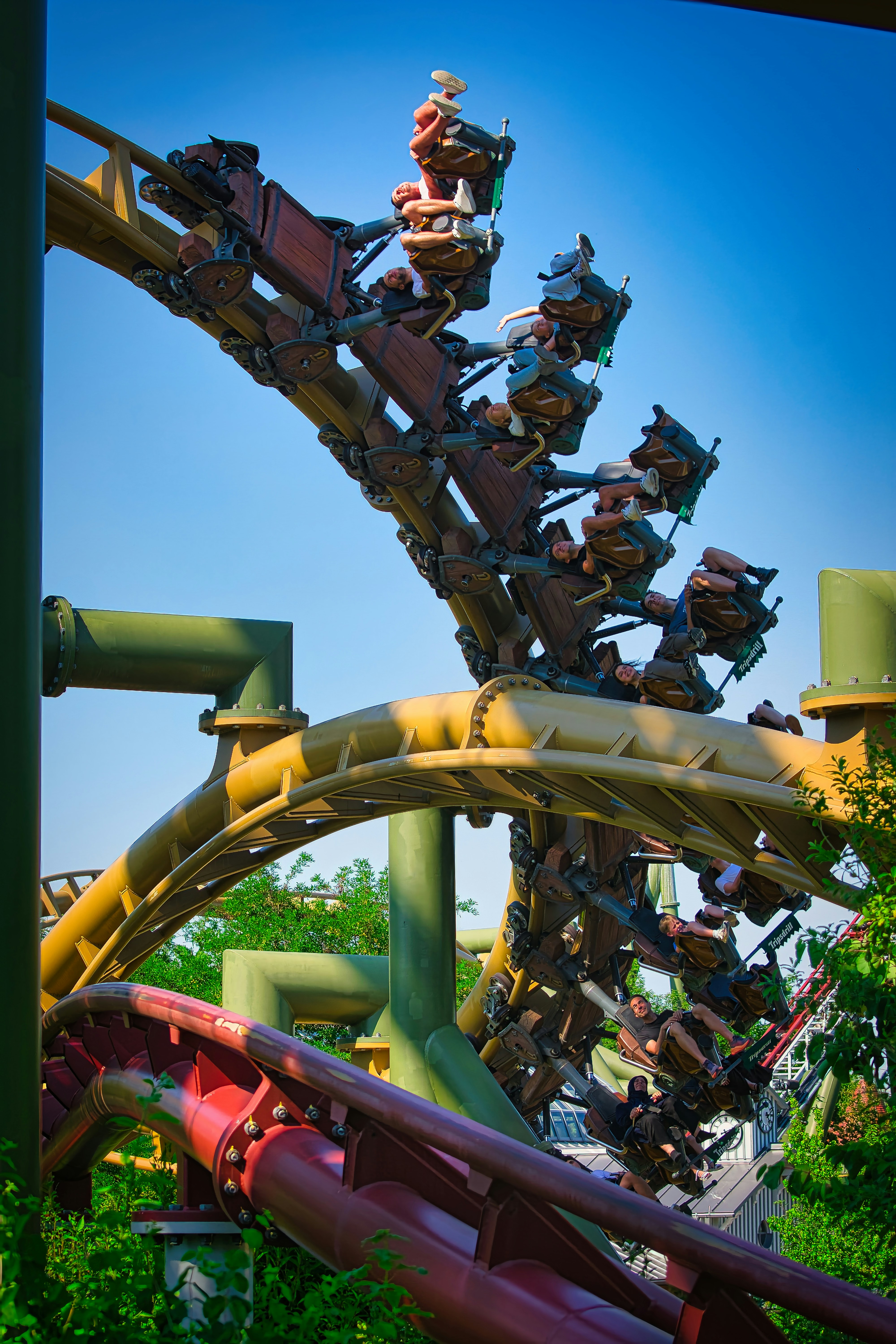Coiled Courage: A Thrilling Carriage of Loops Against a Clear Sky