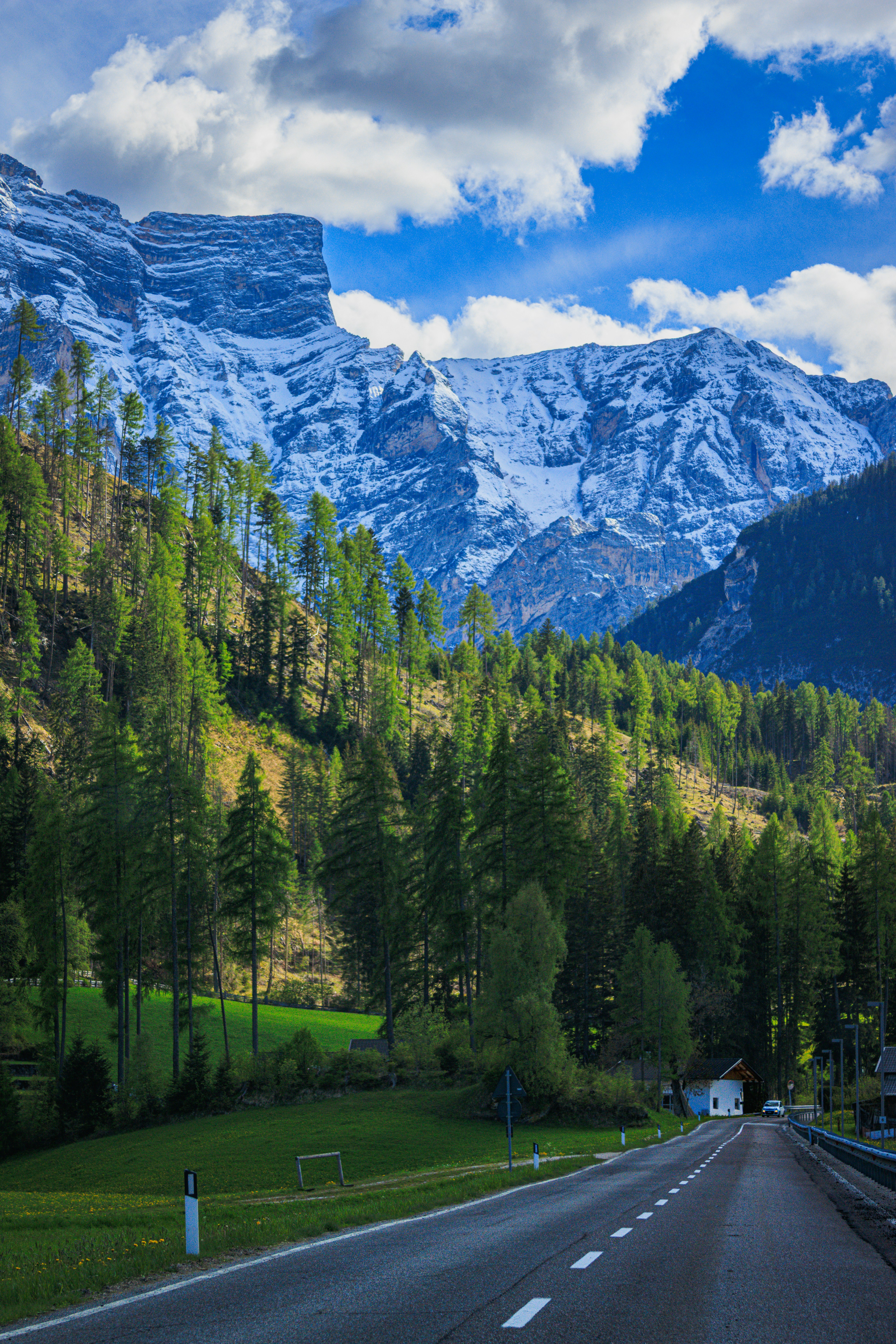 Snow-Capped Peaks Over Verdant Valley Road