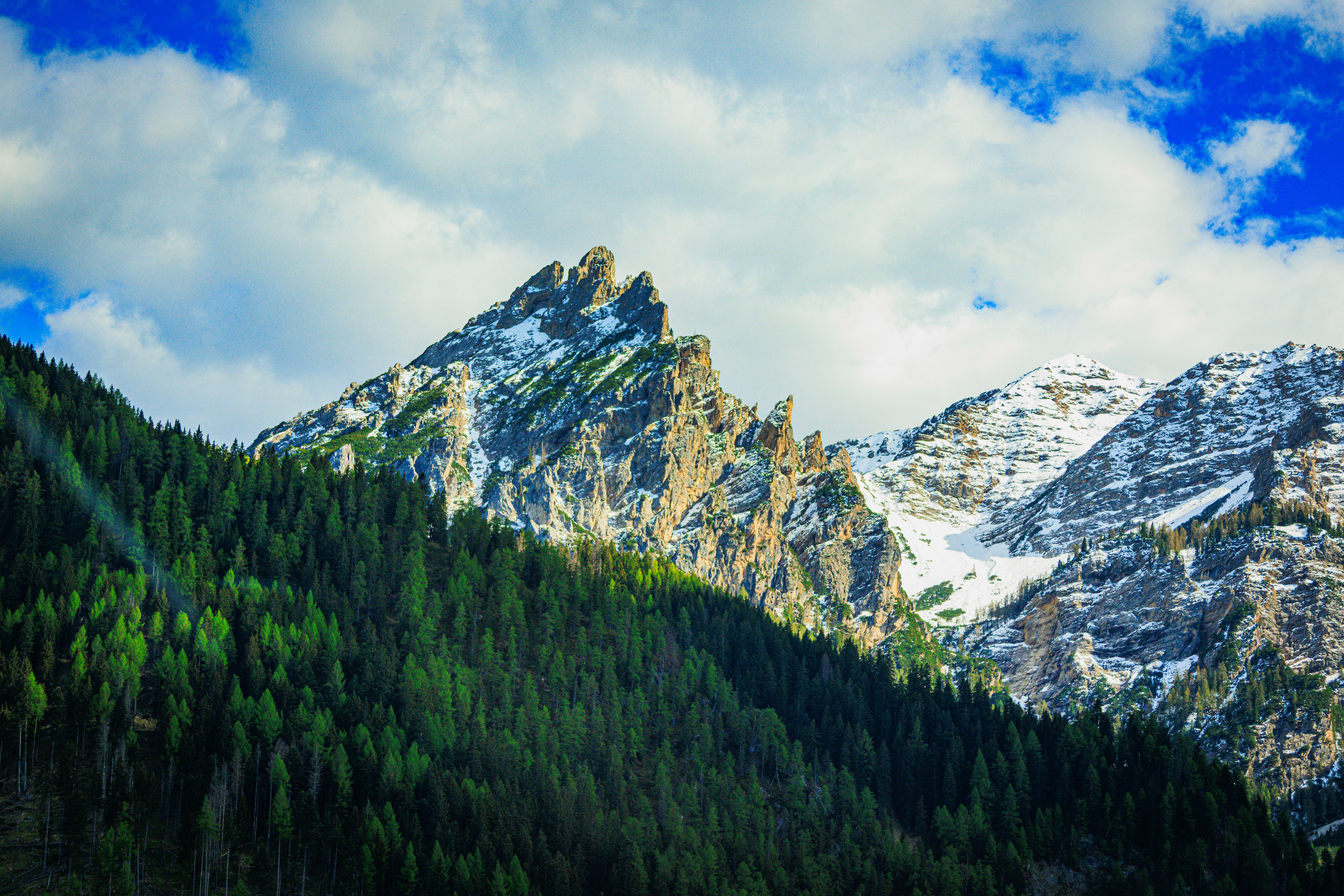 Snow-kissed Peaks Over a Pine Sea