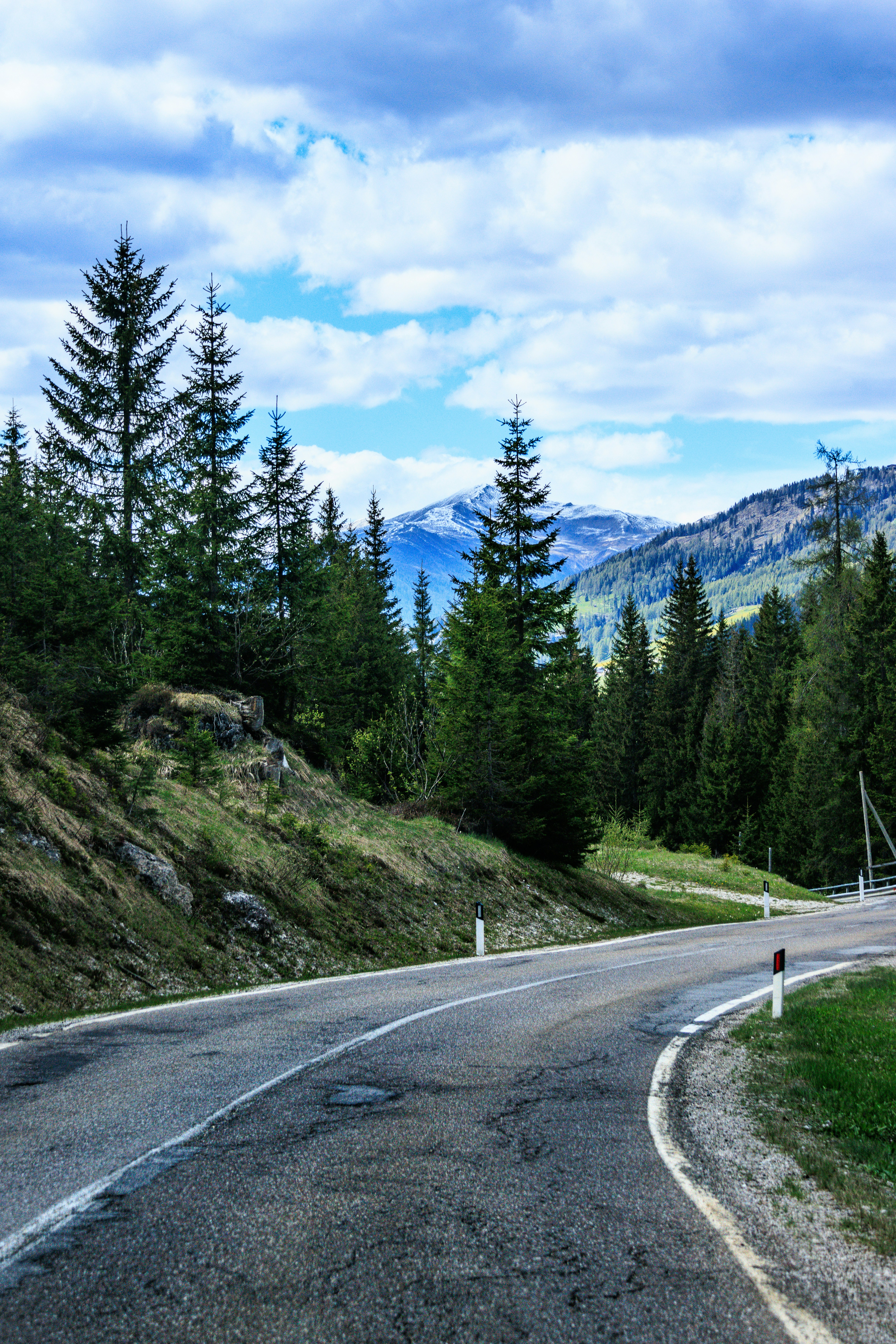 Winding Mountain Road Through Pine Forest
