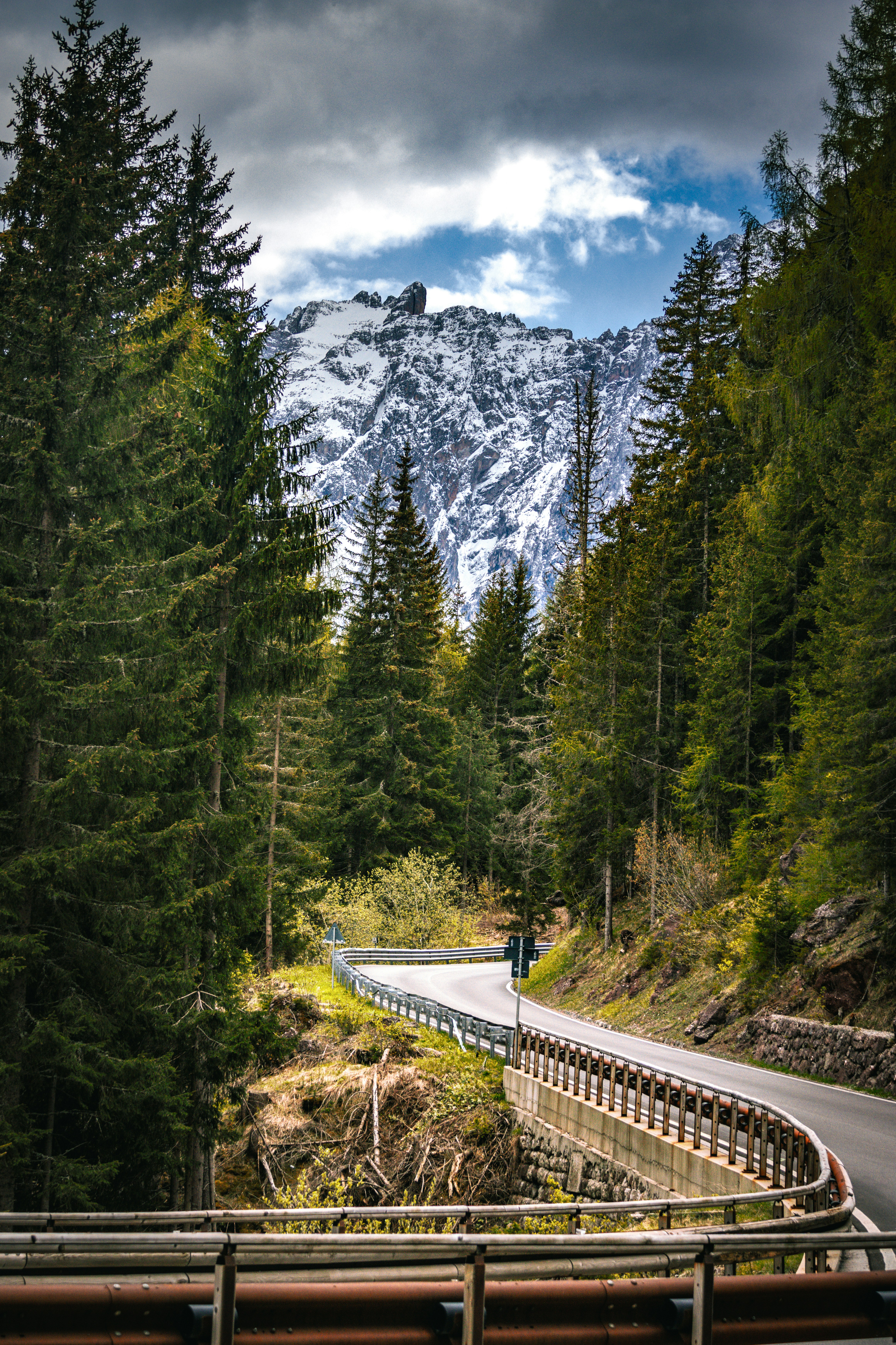 Curved Summit Road Through a Conifer Corridor