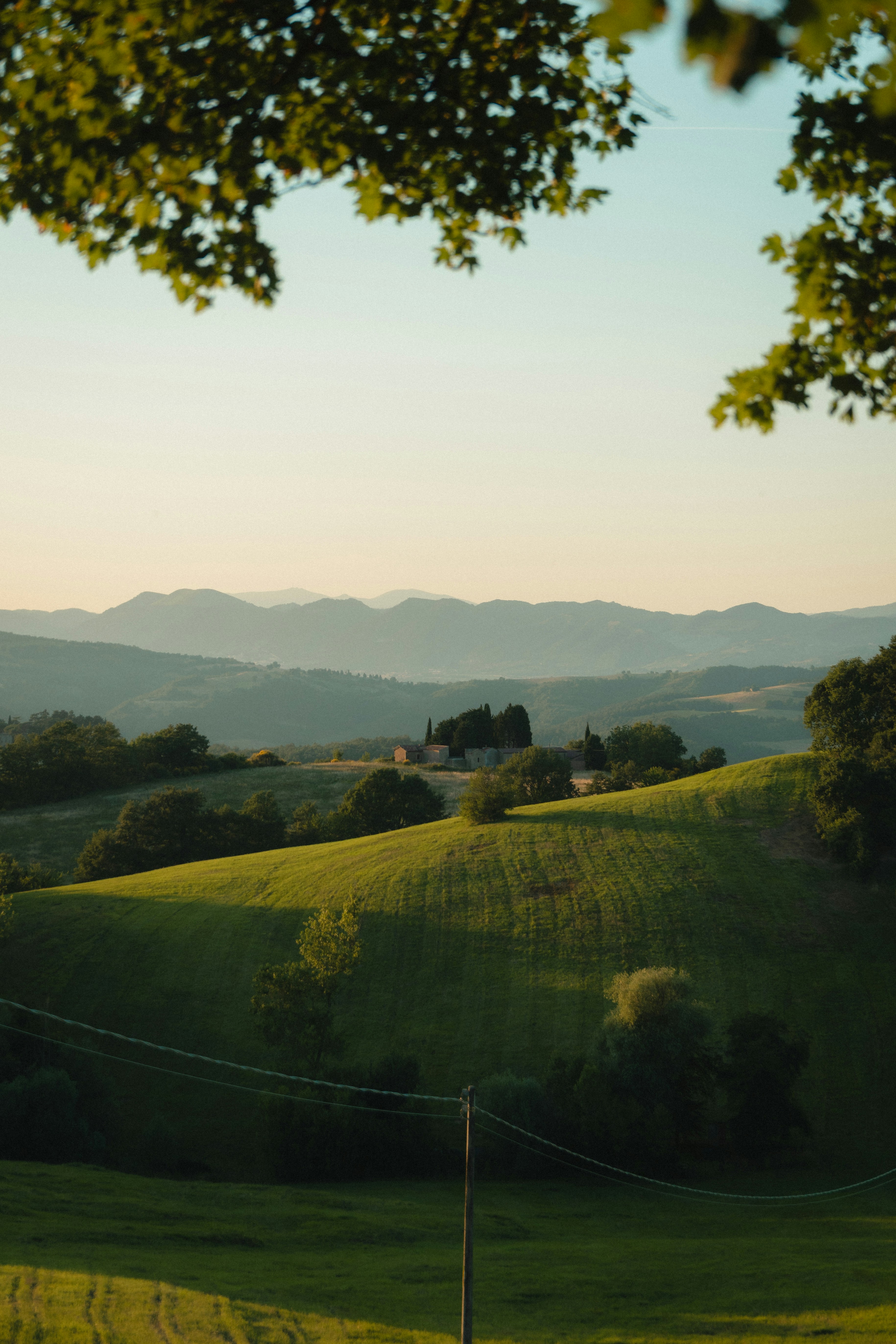 Golden Hills at Dusk: Quiet Valleys Under a Leafy Canopy