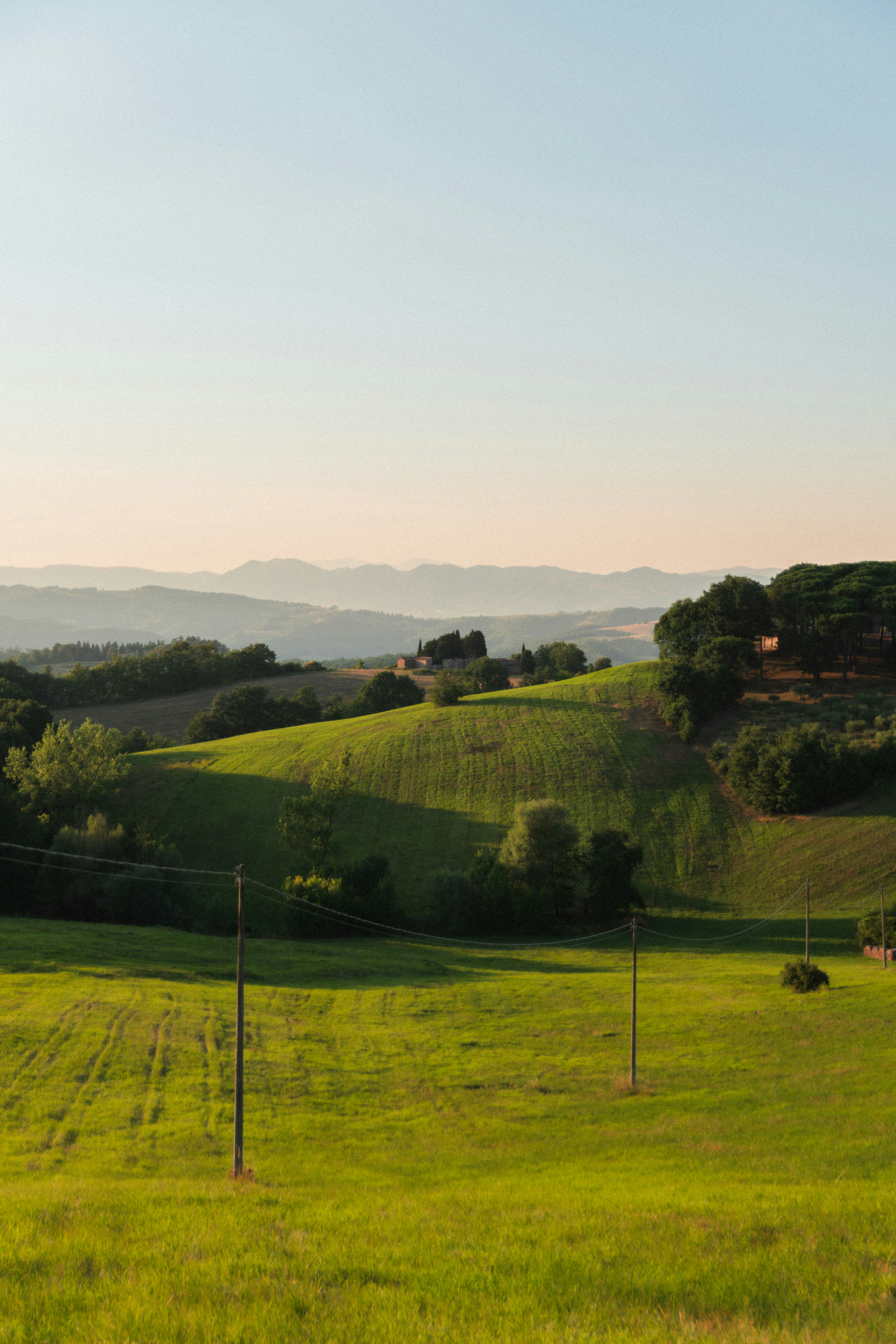 Rolling Hills at Dusk: A Quiet Landscape of Gentle Slopes and Power Lines