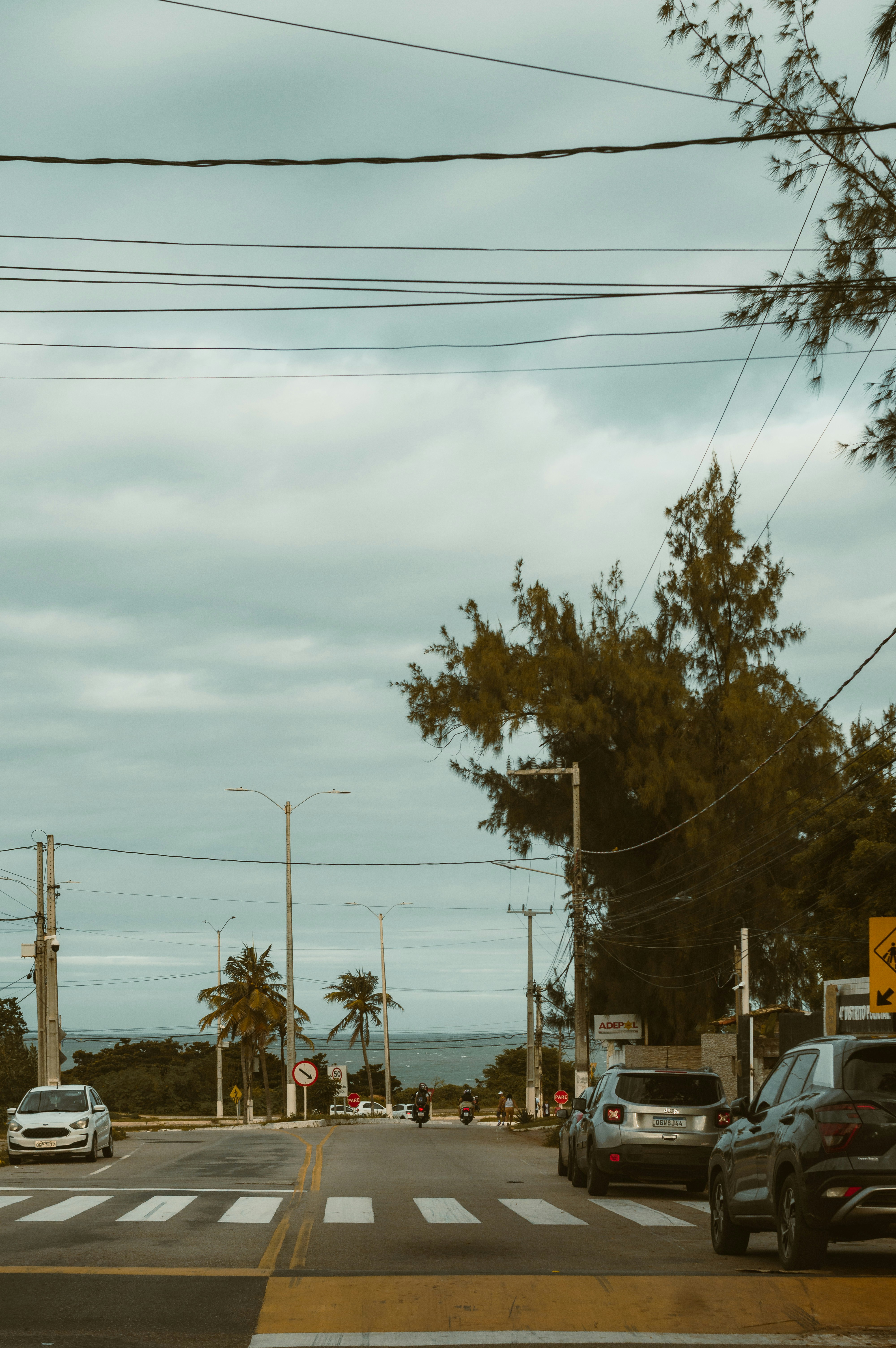 Coast Road Crosswalk: Boats, Trees, and Traffic Converge
