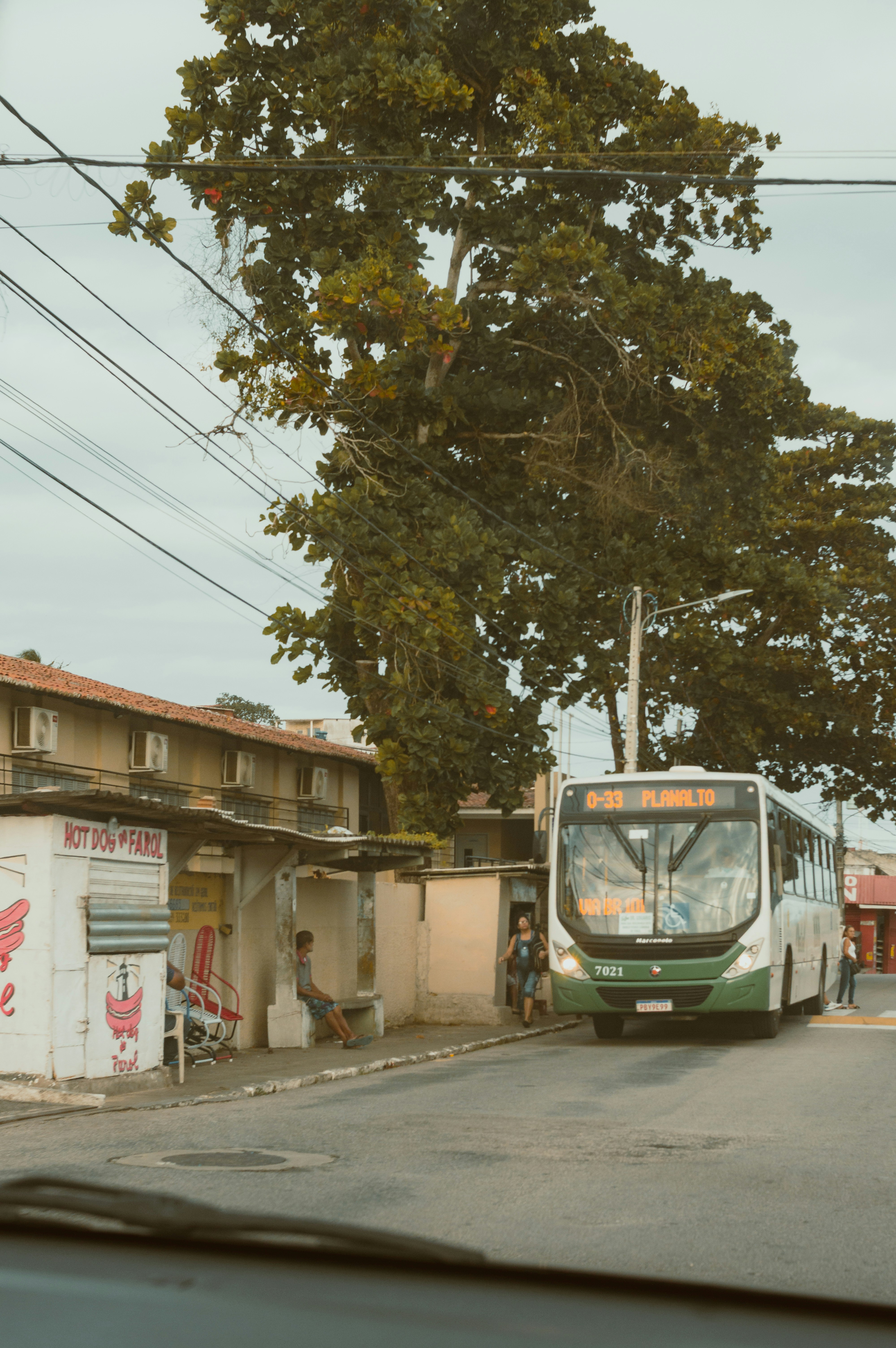 Bus at the Edge of a Quiet Street