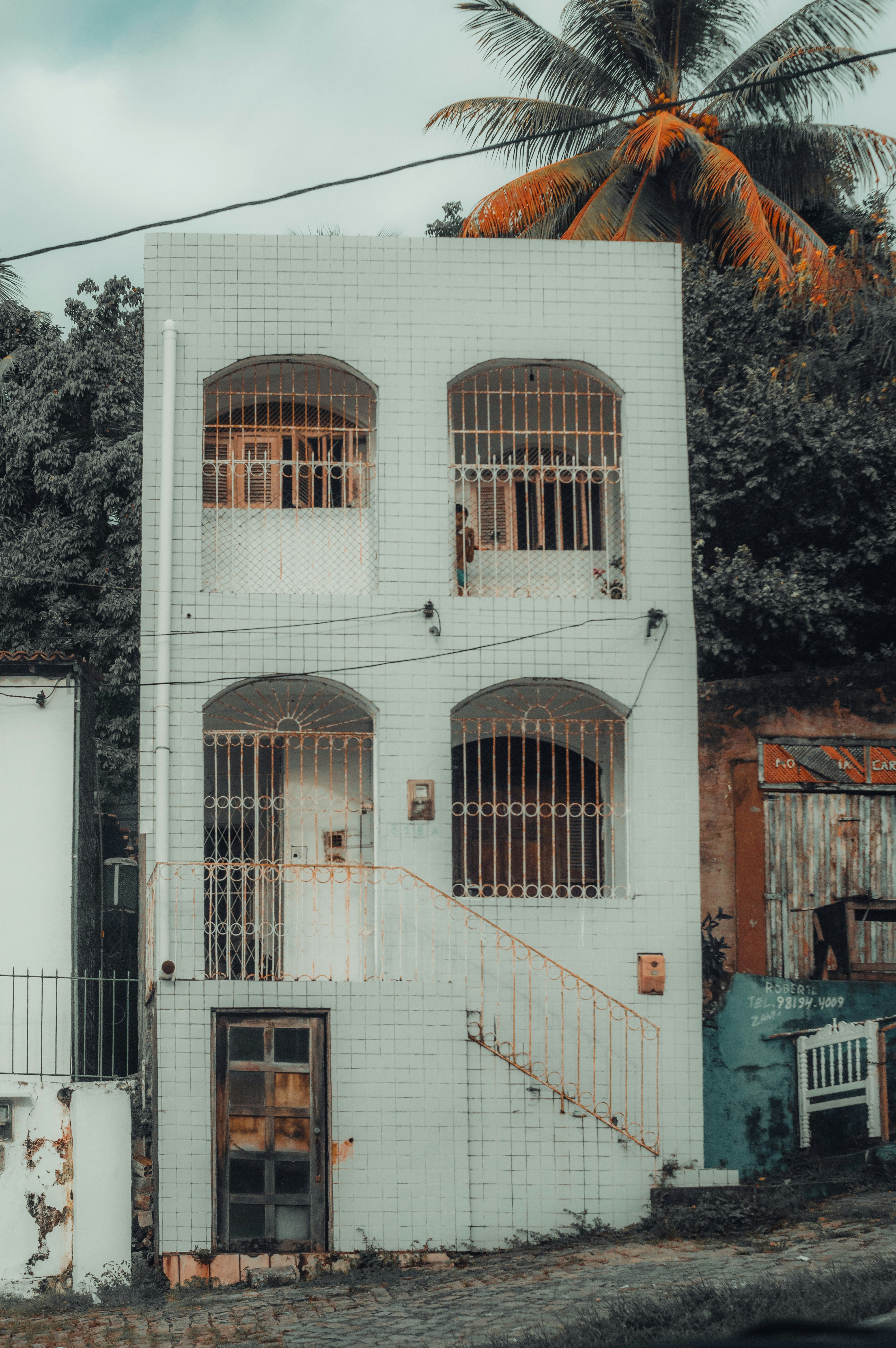 Blue-Tiled House with Iron Grilles Beneath a Palm Canopy