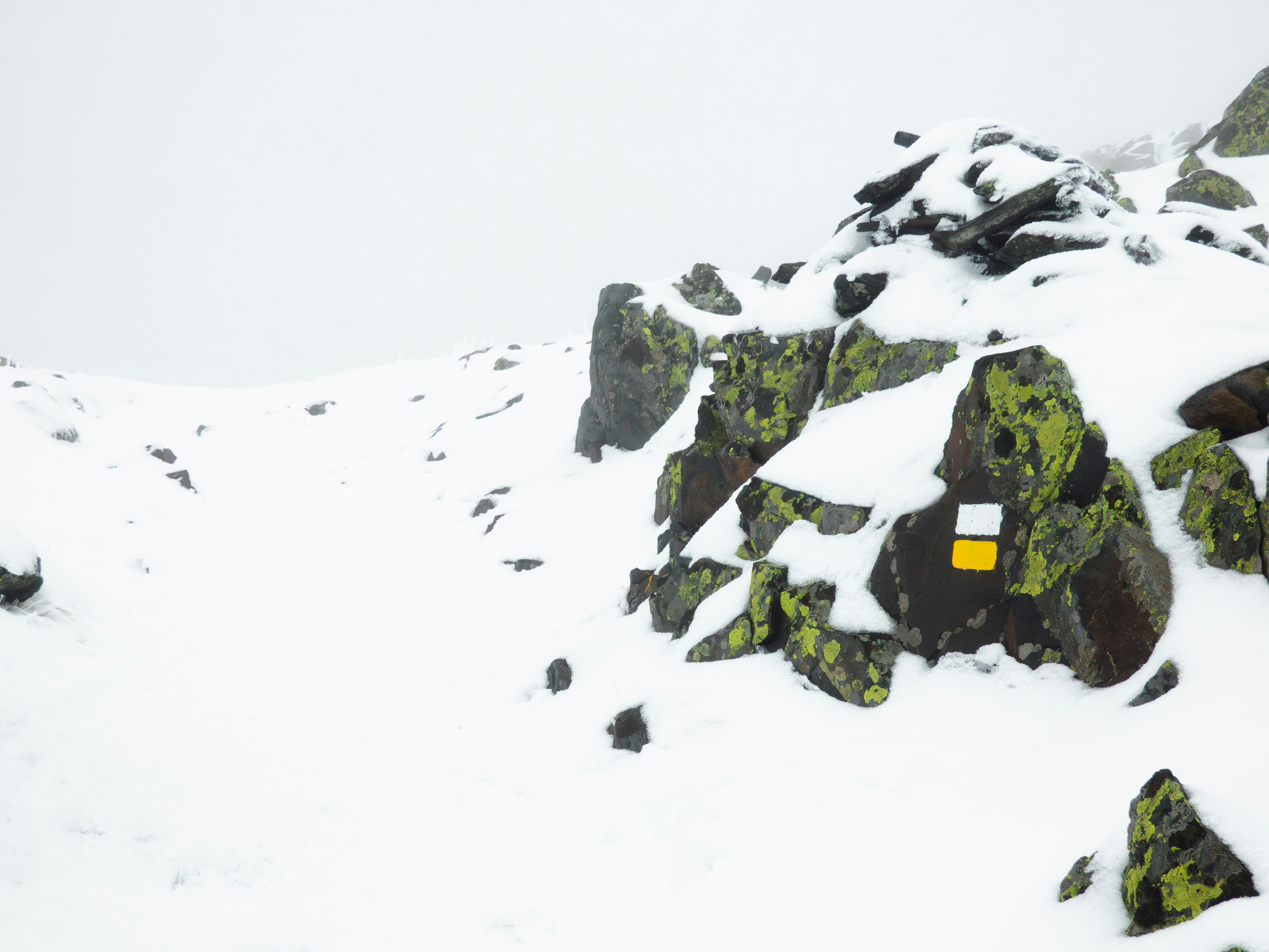 Snow-Covered Mossy Ridge with Yellow Marker
