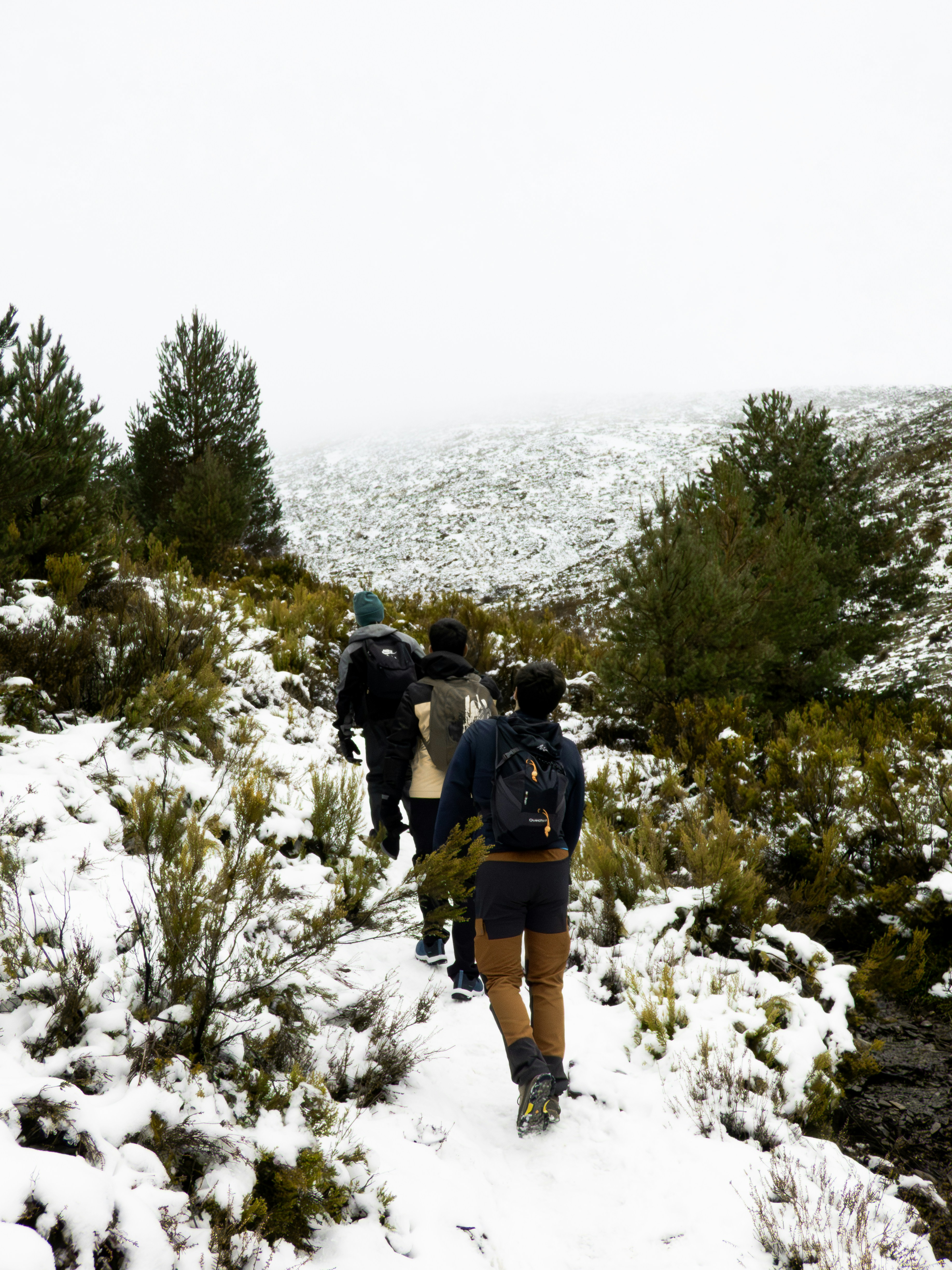 Snowbound Ascent: A Trio Traverses a Quiet Alpine Path