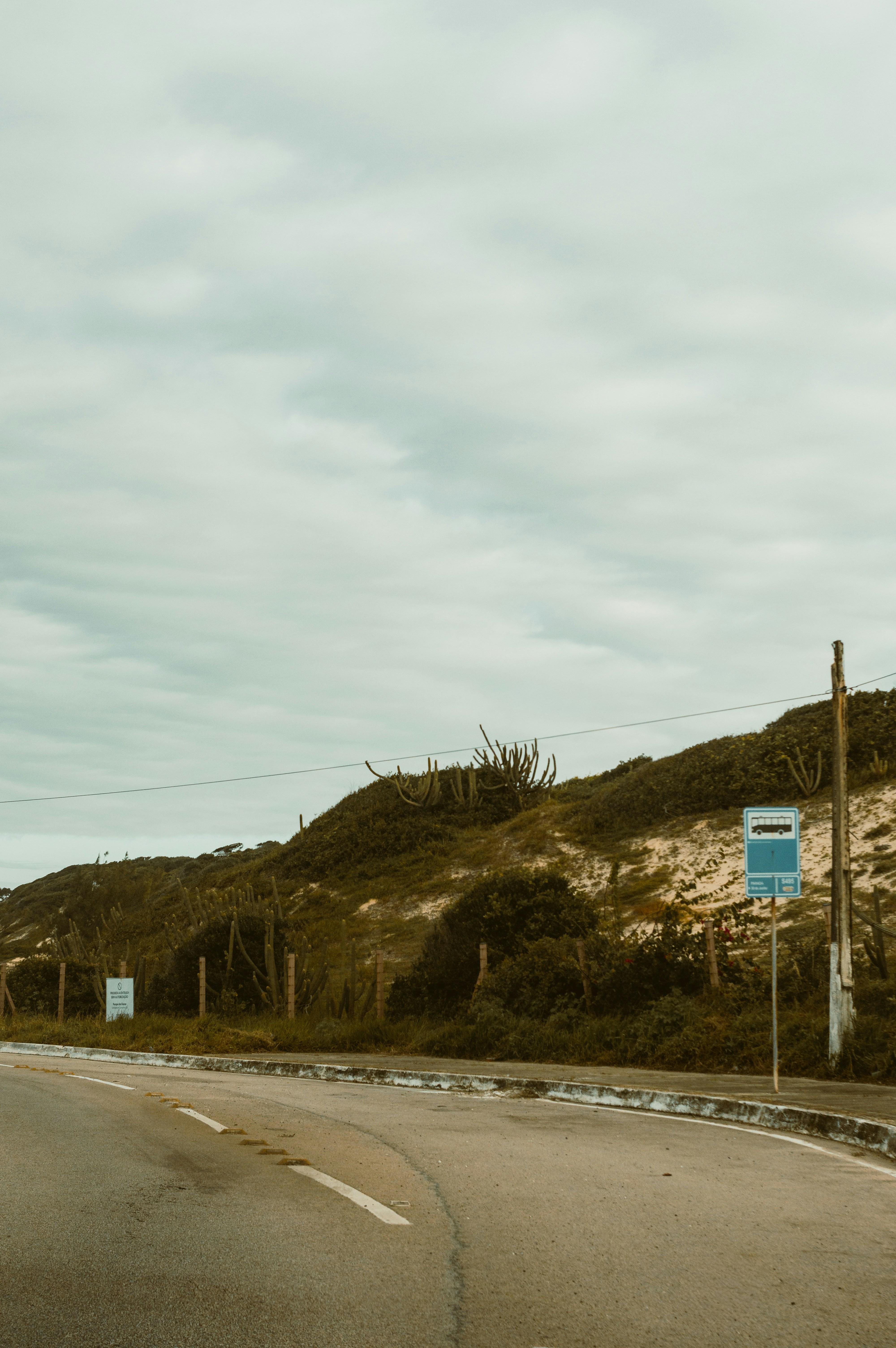 Coastline Road Under Wide Skies
