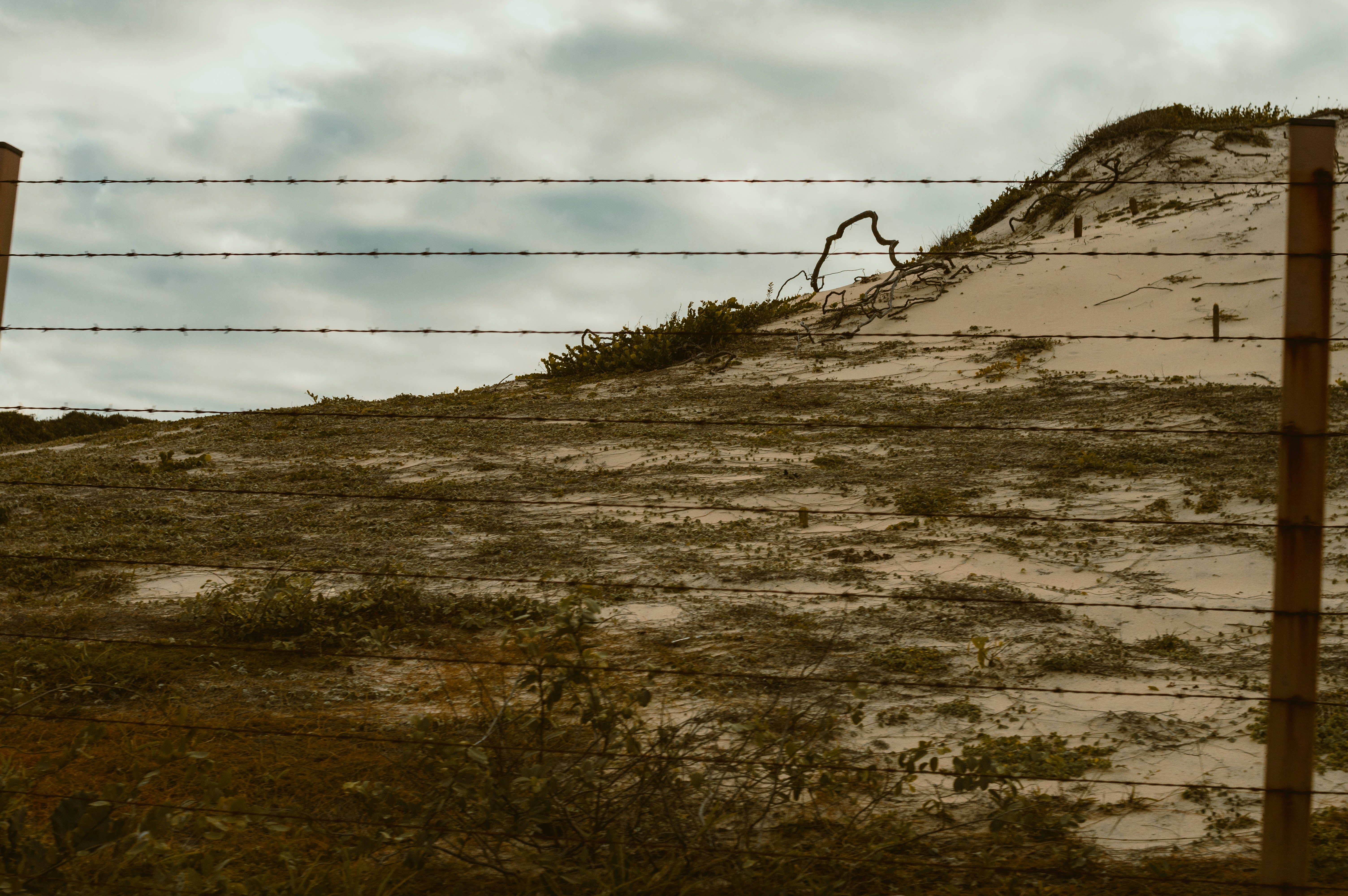 Barbed Horizon: Dunes, Fence, and Thorned Sky
