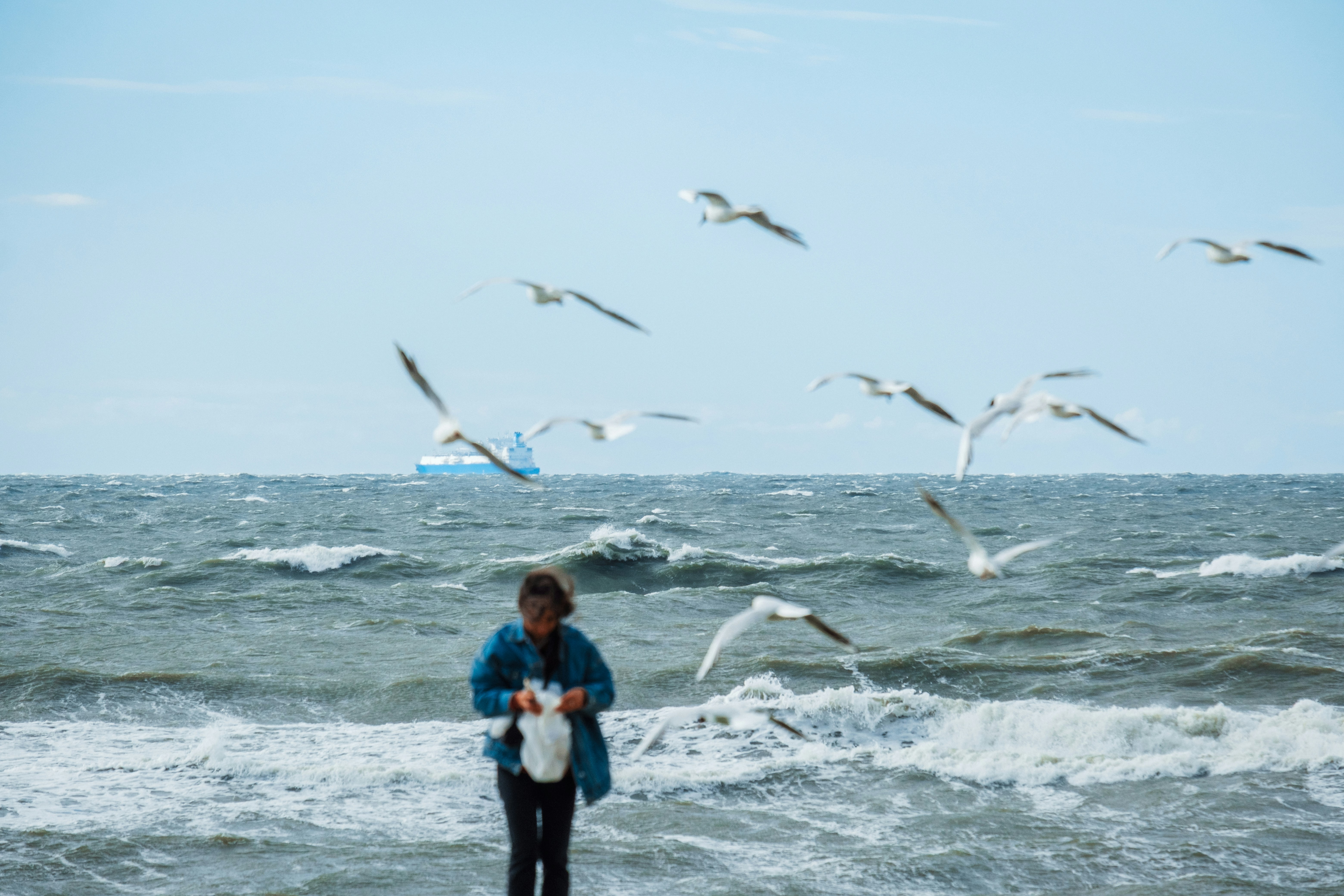 Lone Figure at the Tidal Edge as Seabirds Gather