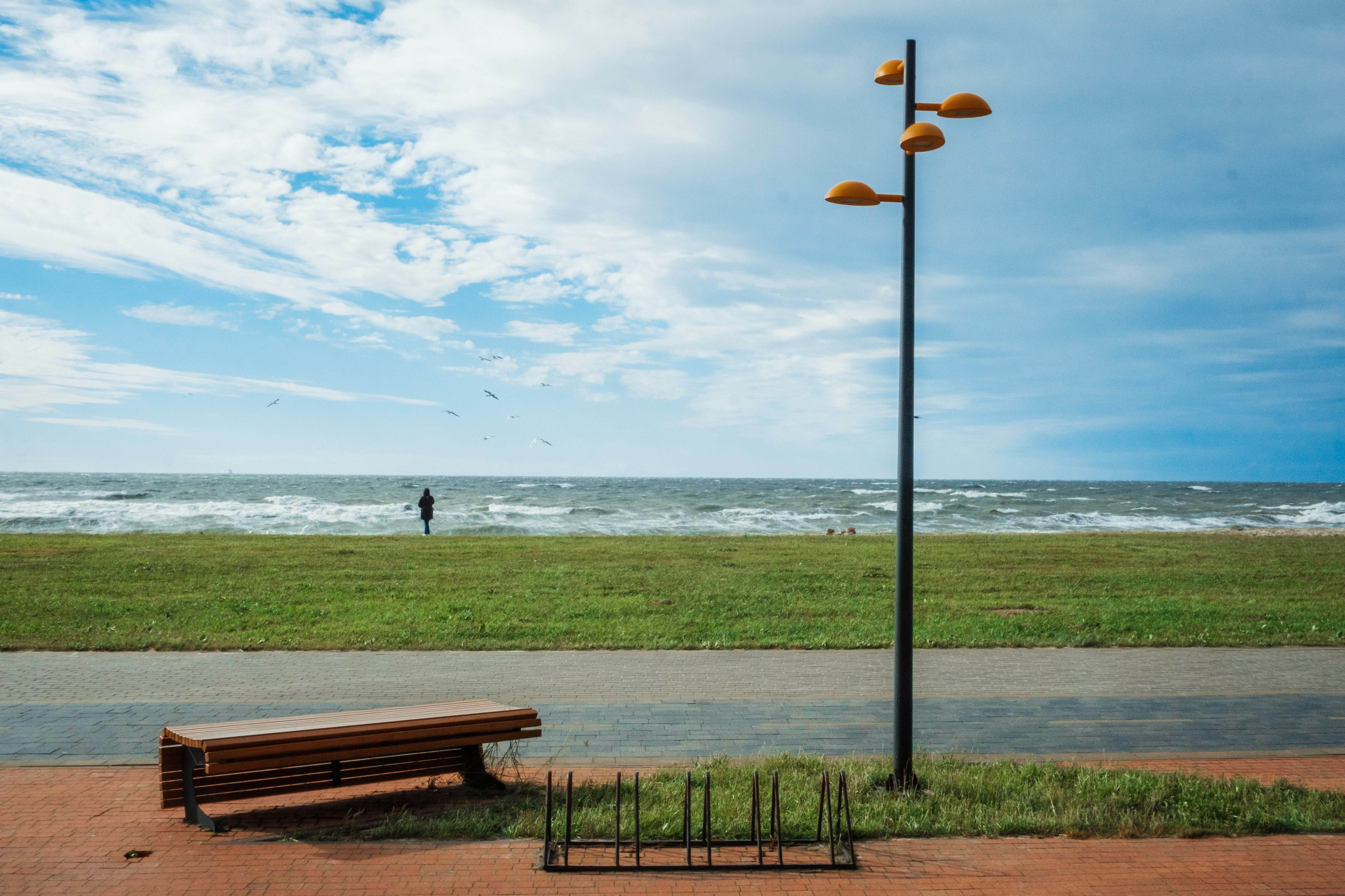Lone Fisherman Beyond the Sea: A Quiet Waterfront Moment