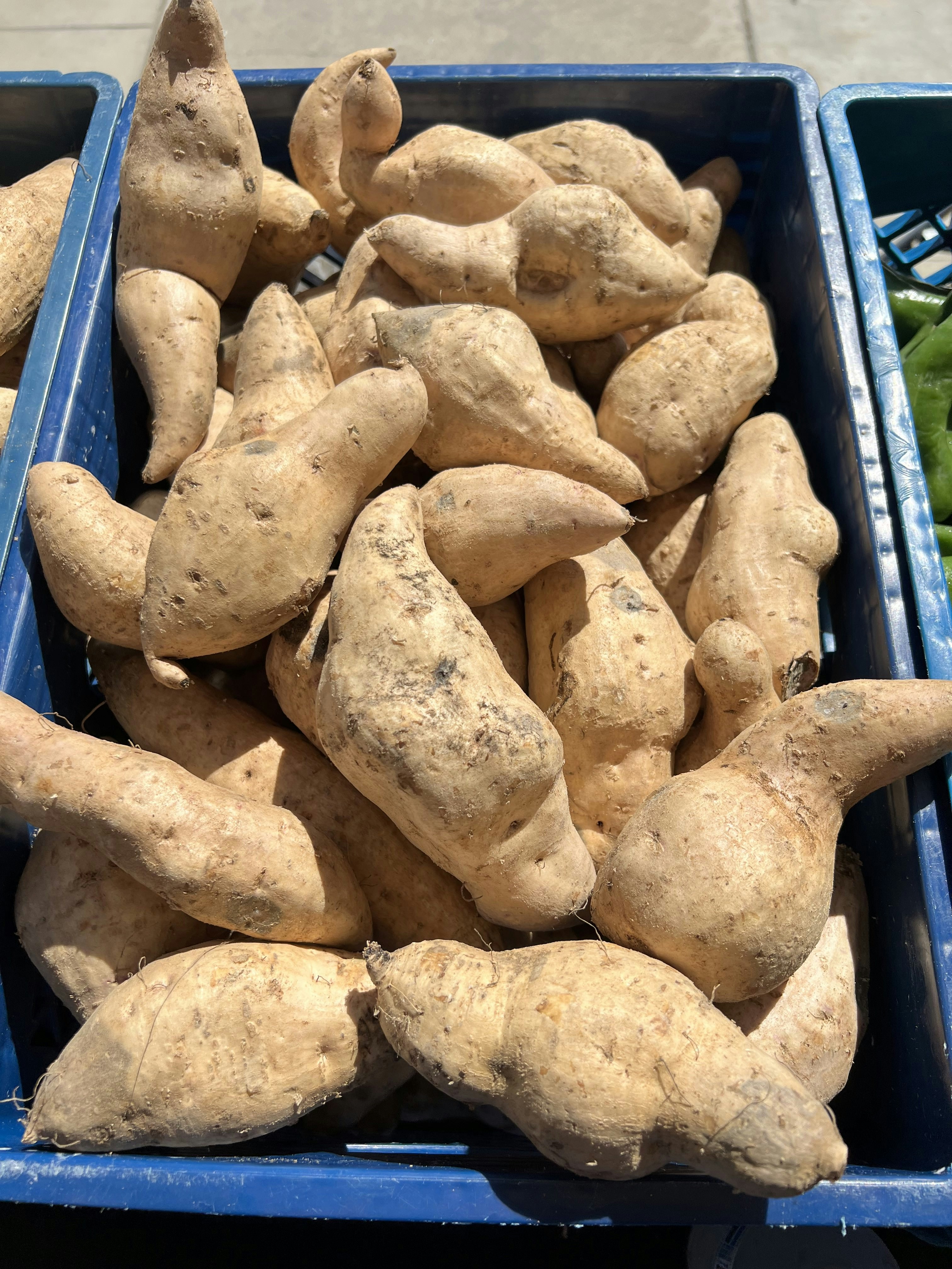 Sunlit crates of fresh yams with earthy textures