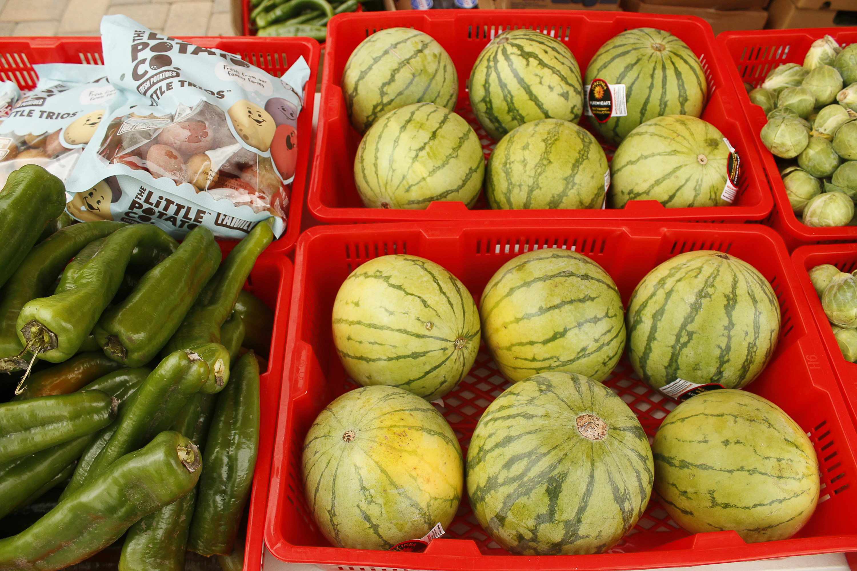Colorful melons sit in red crates at a street market, with cucumbers and produce visible nearby; a shopping scene emphasizing fresh fruit display.