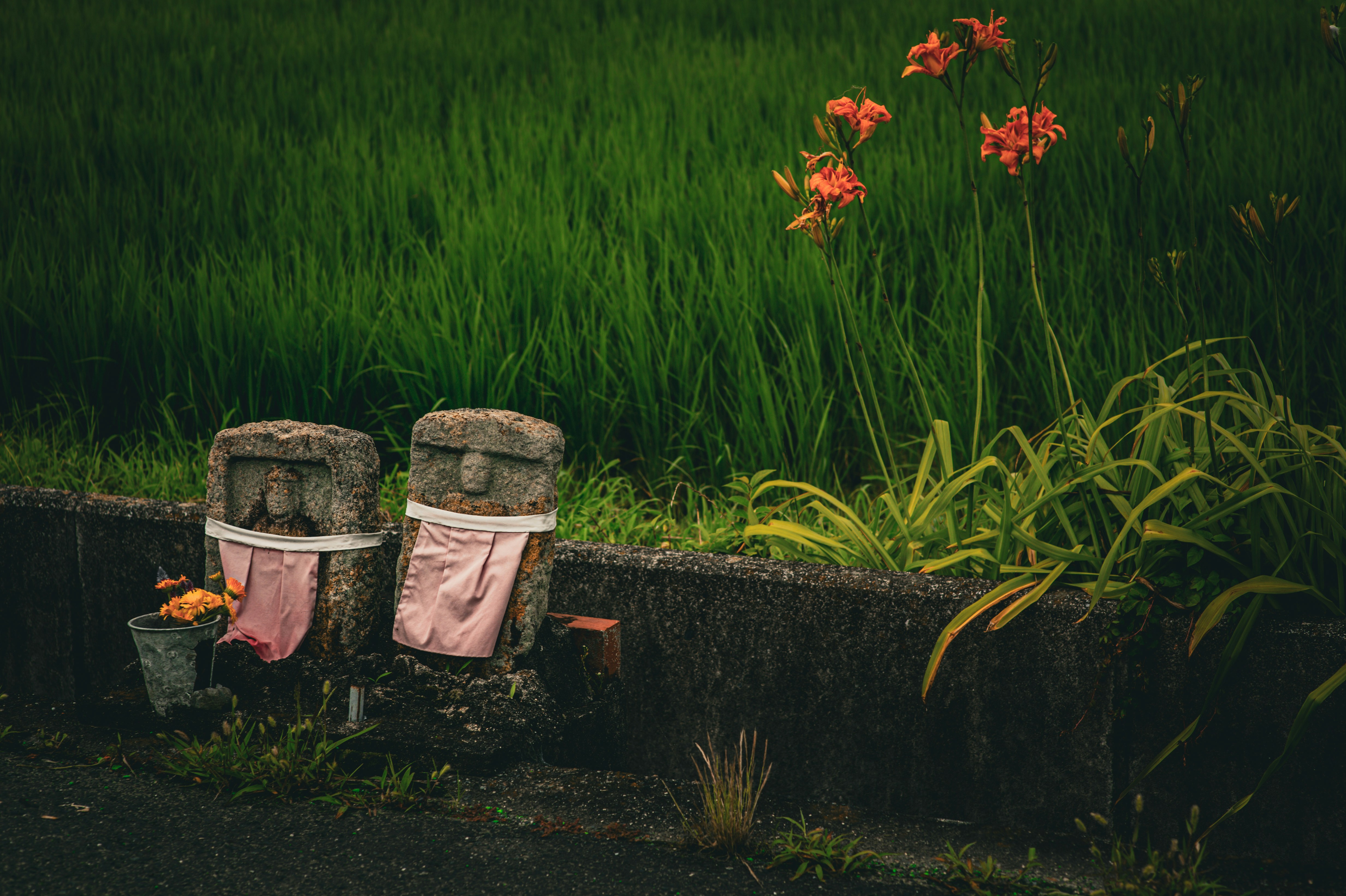 Rusted Beginnings: Two pink-wrapped Shoes Rest Against a Weathered Wall