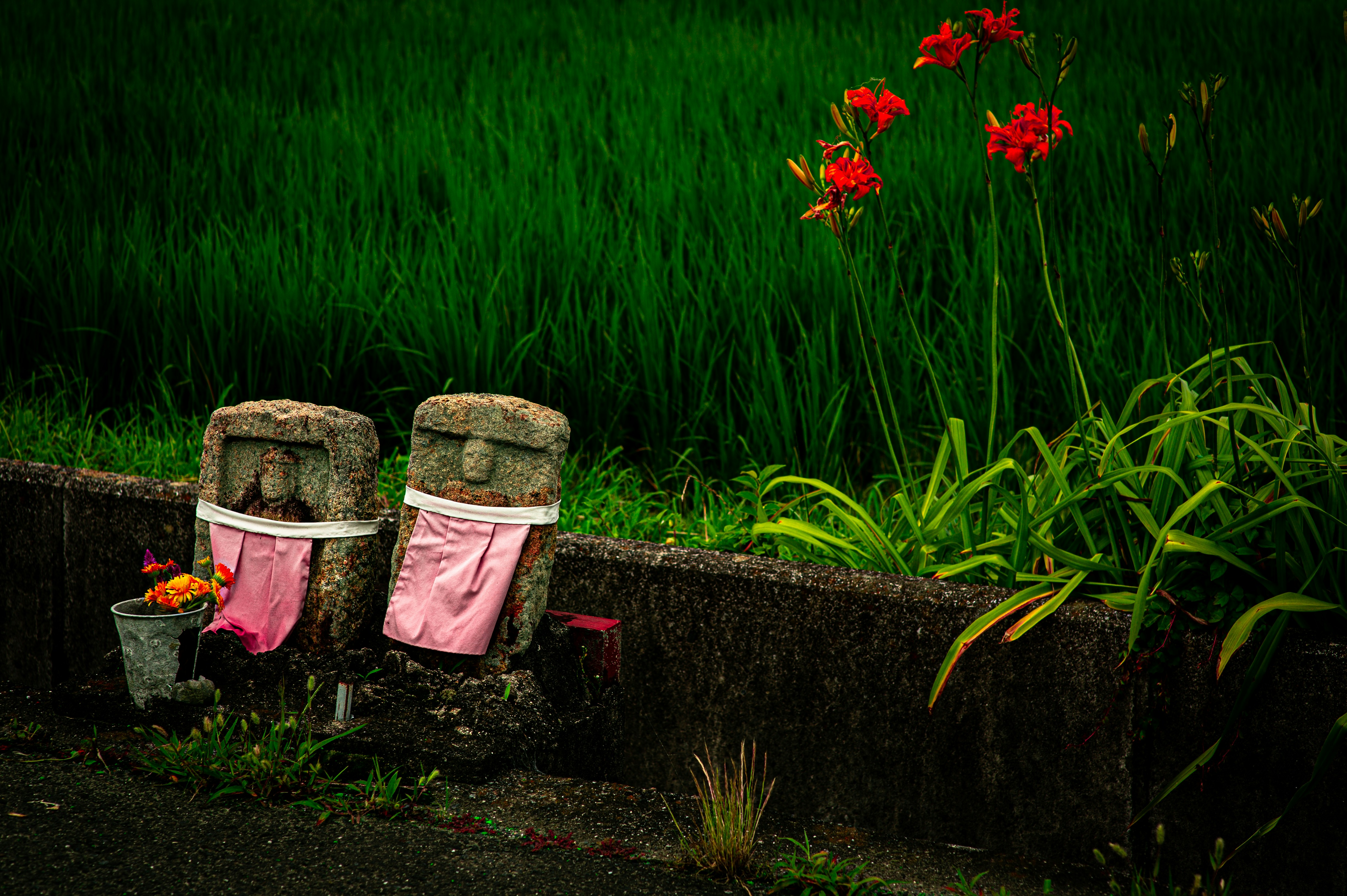 Weathered Shoes by a Wet Wall: Quiet Deterioration beside Scarlet Fire-Flag Flowers