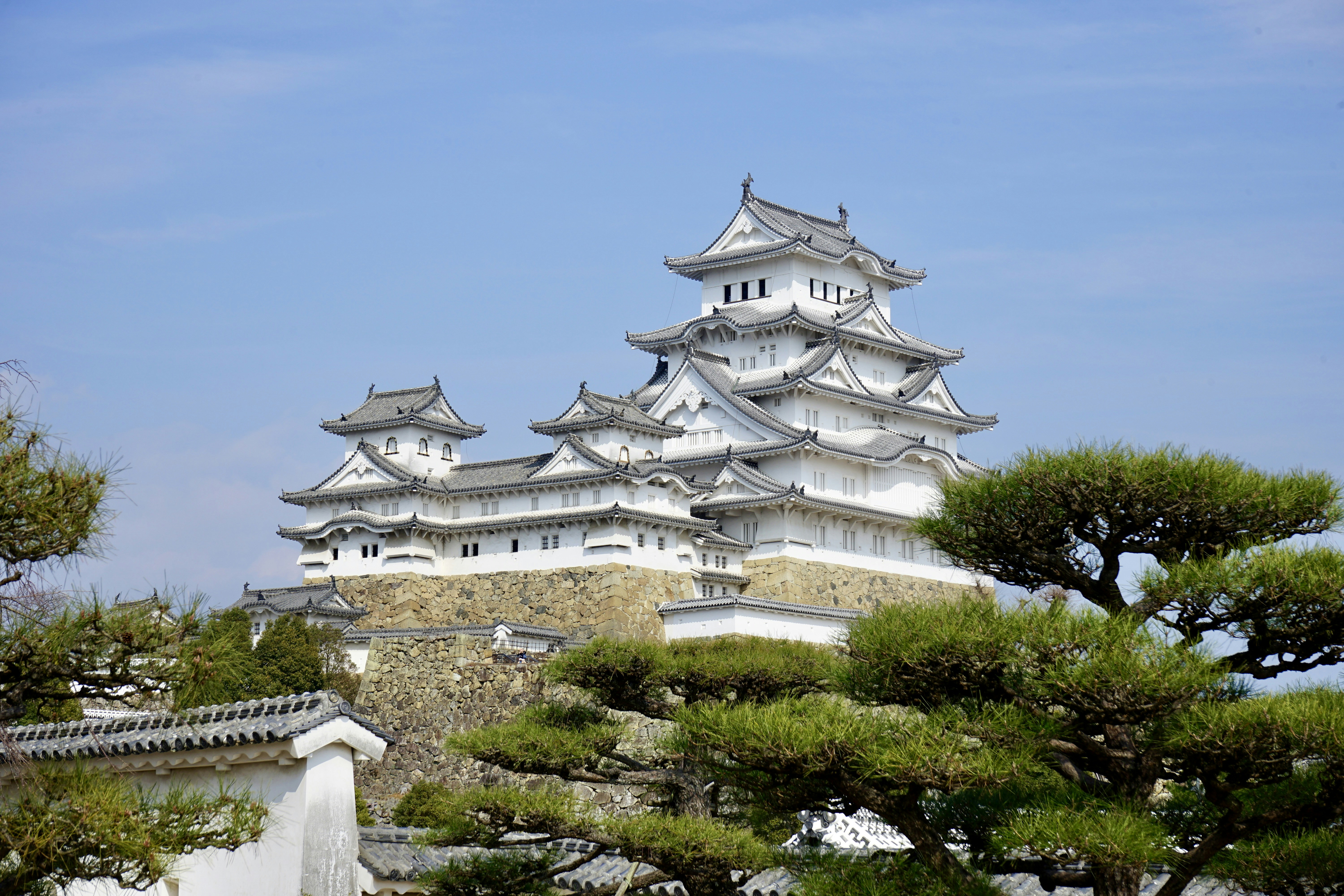 Castle on the Crest: White Pillars and Pine