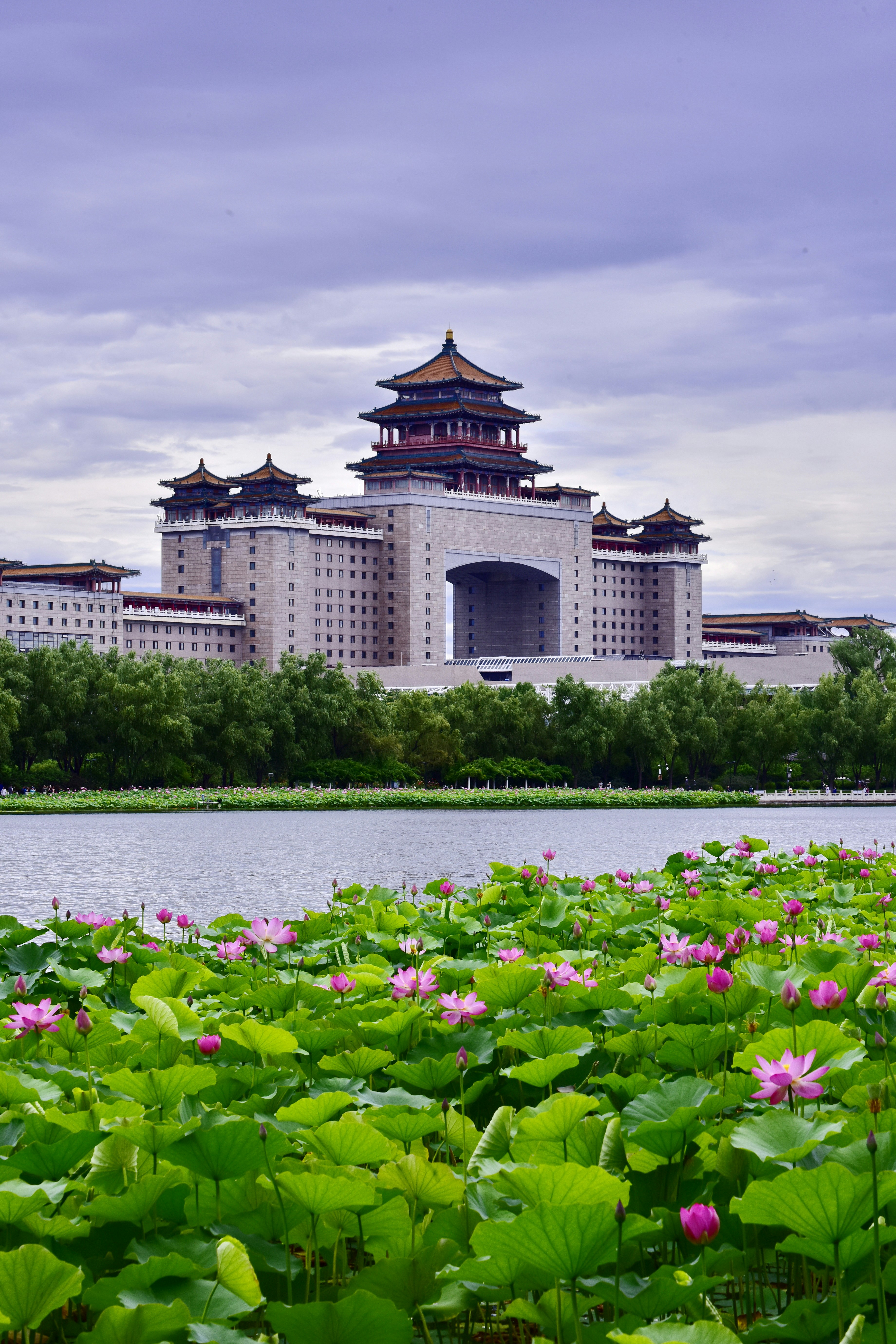 Temple Gate Overlooked by a Pond of Lotus