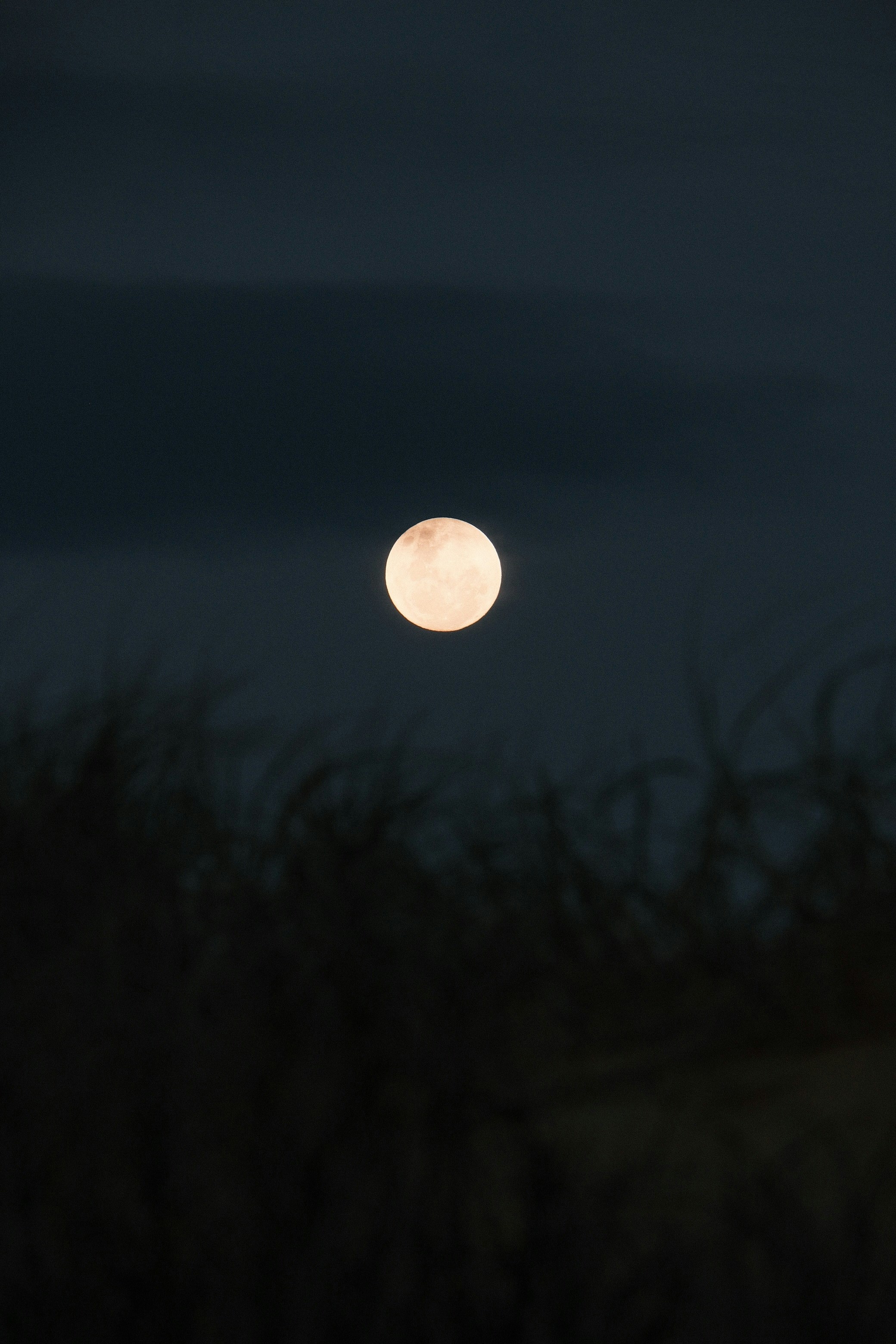 Moonrise over Tall Grass