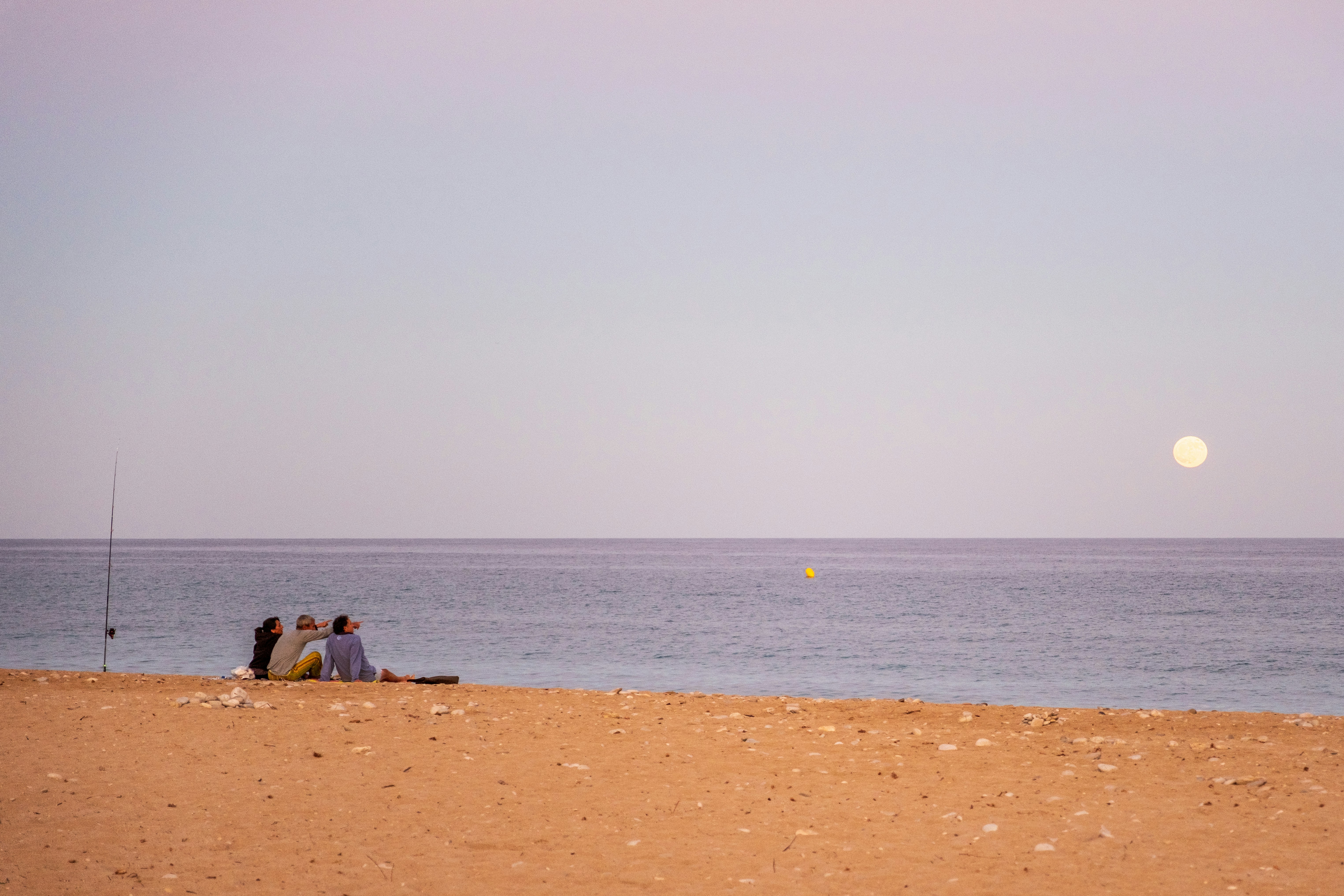 Quiet Horizon: Friends at the Seaside