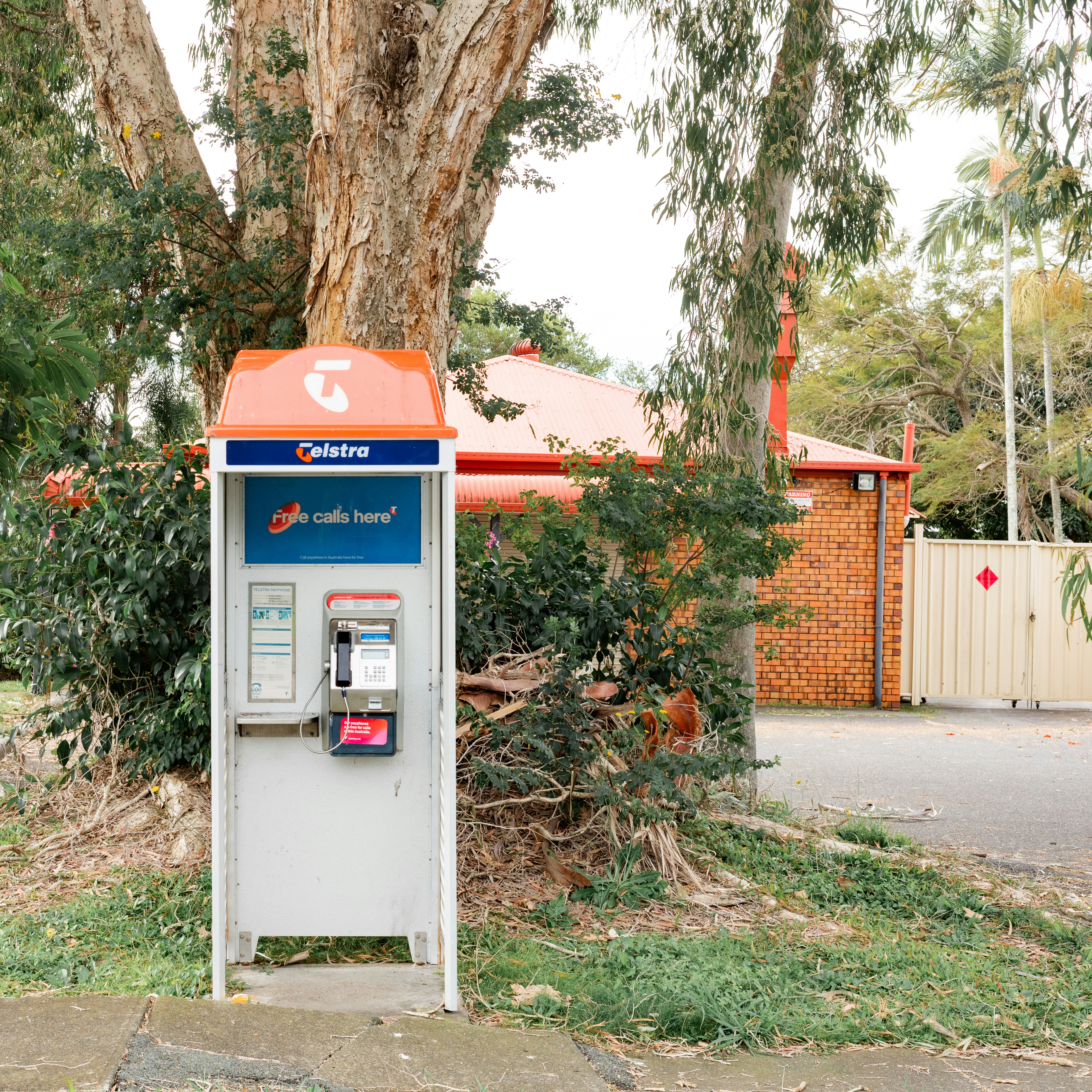 Orange Telstra Kiosk Nestled by a Gnarled Tree