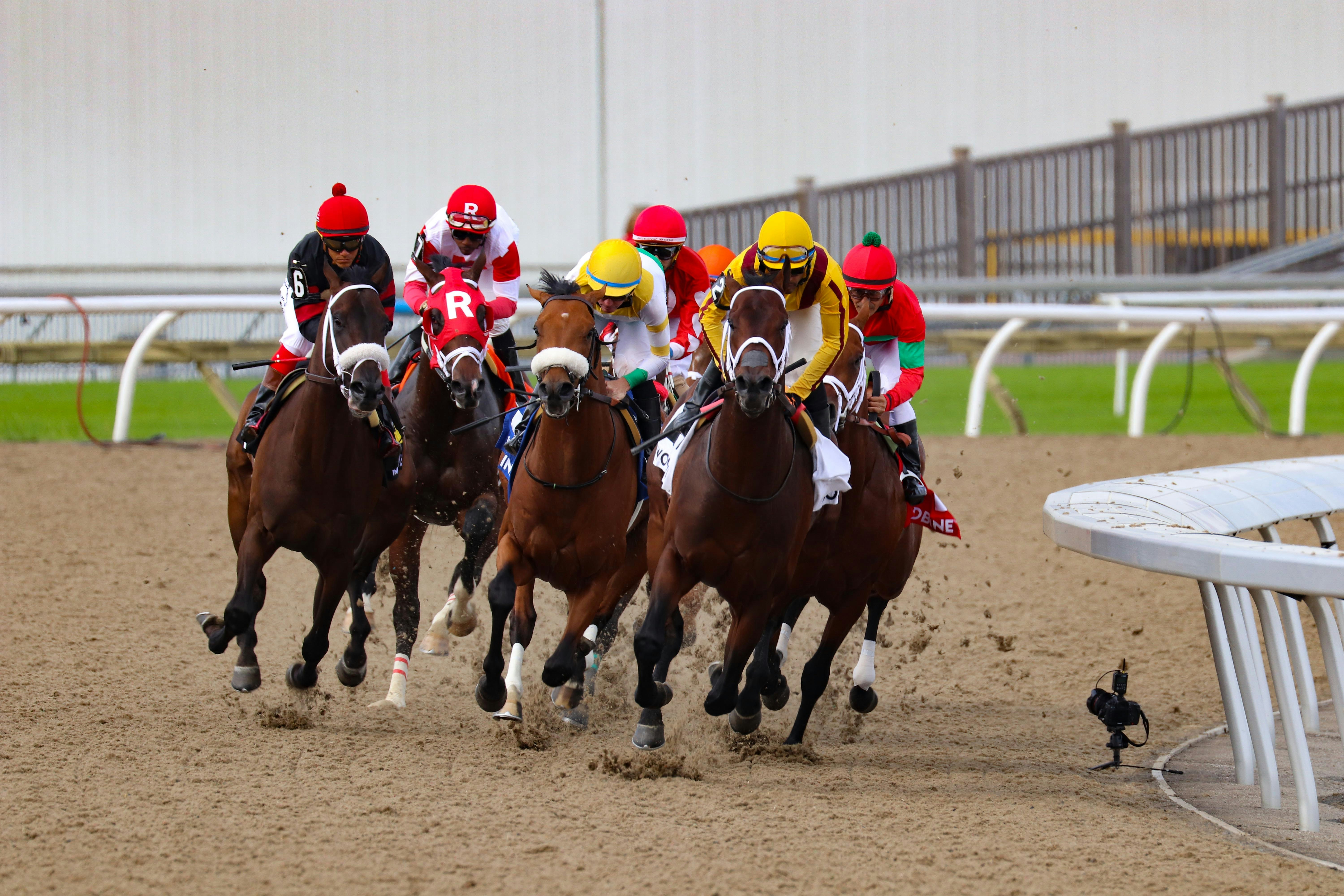 Charge at the Ridge: Thoroughbreds In a Close-Knit Derby