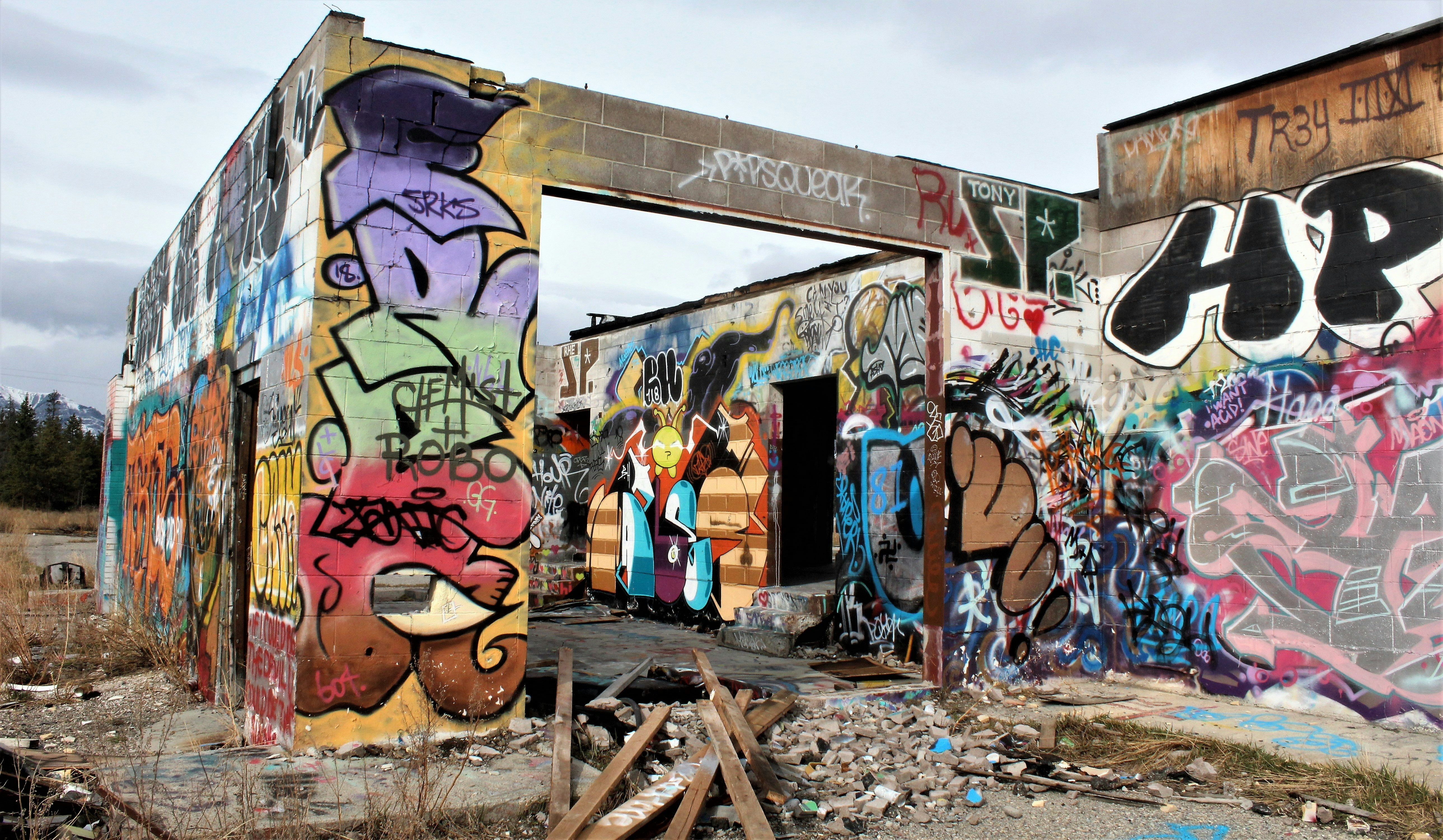 Wild Walls: Lettered Ruins of a Graffiti Corridor