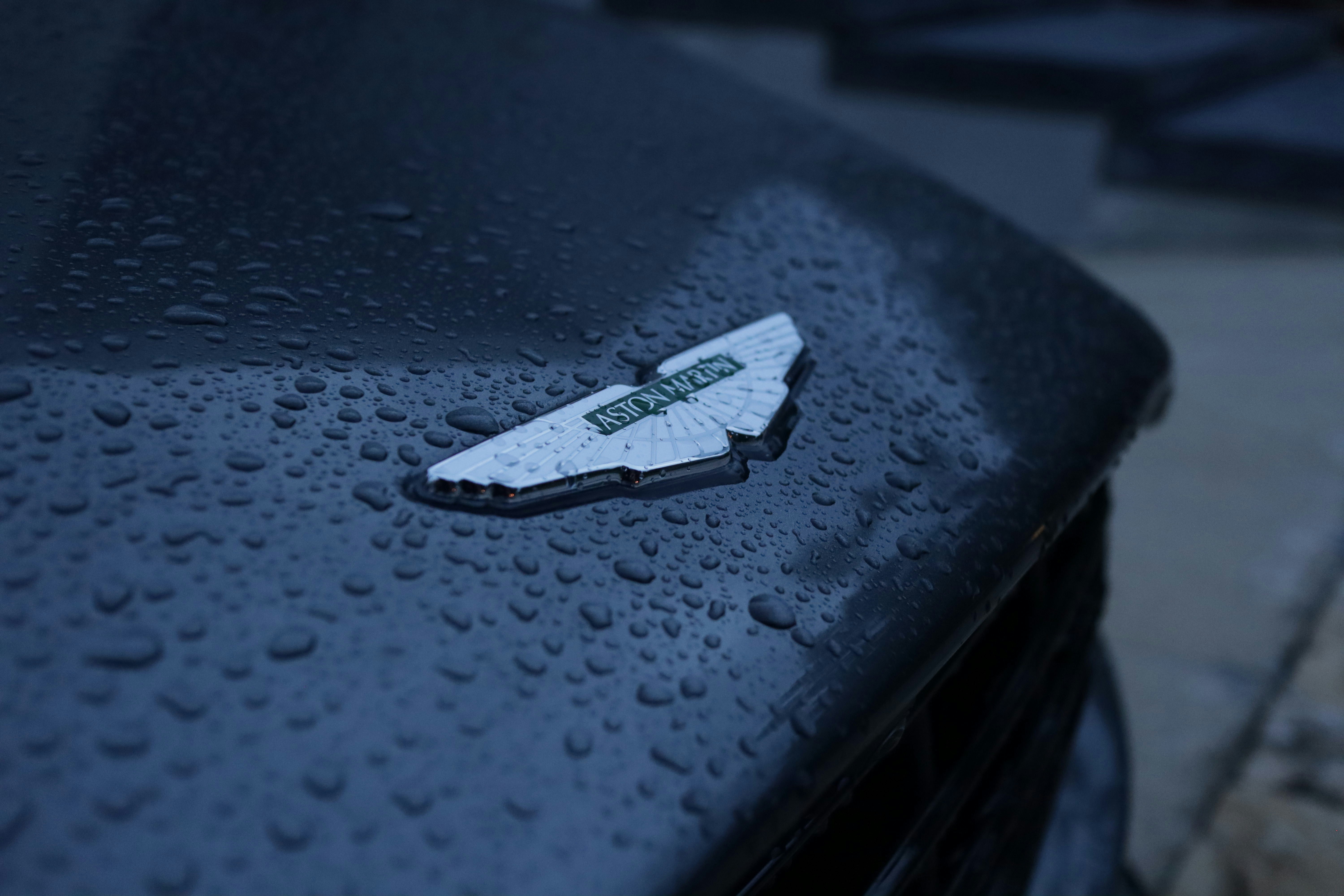 Raindrops on a Badge: Quiet Detail on a Dark Hood