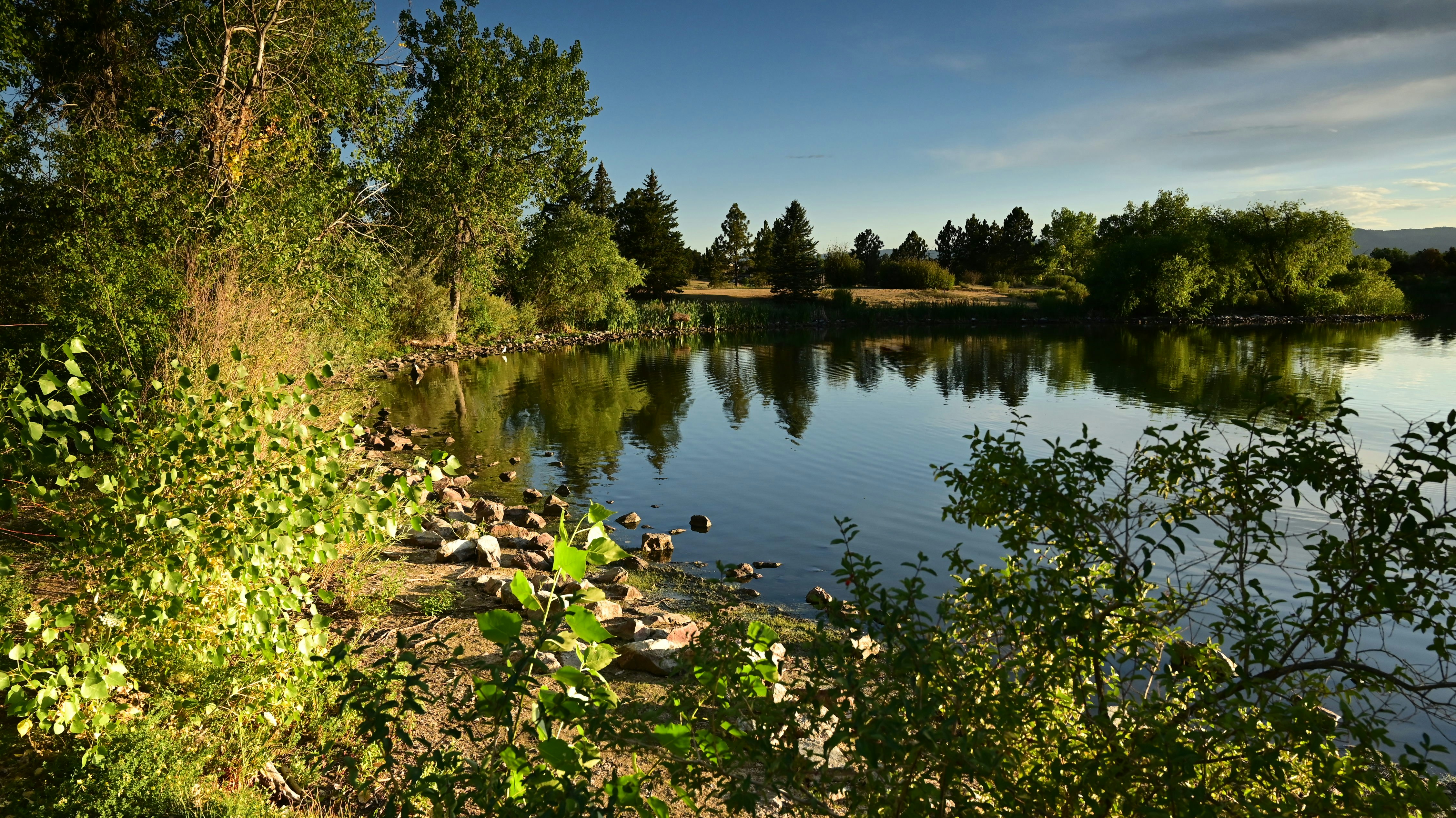 Sunlit riverbank with lush vegetation along a calm waterway; a tree line and distant horizon reflected in the tranquil surface. The scene emphasizes natural scenery and landscape mood.