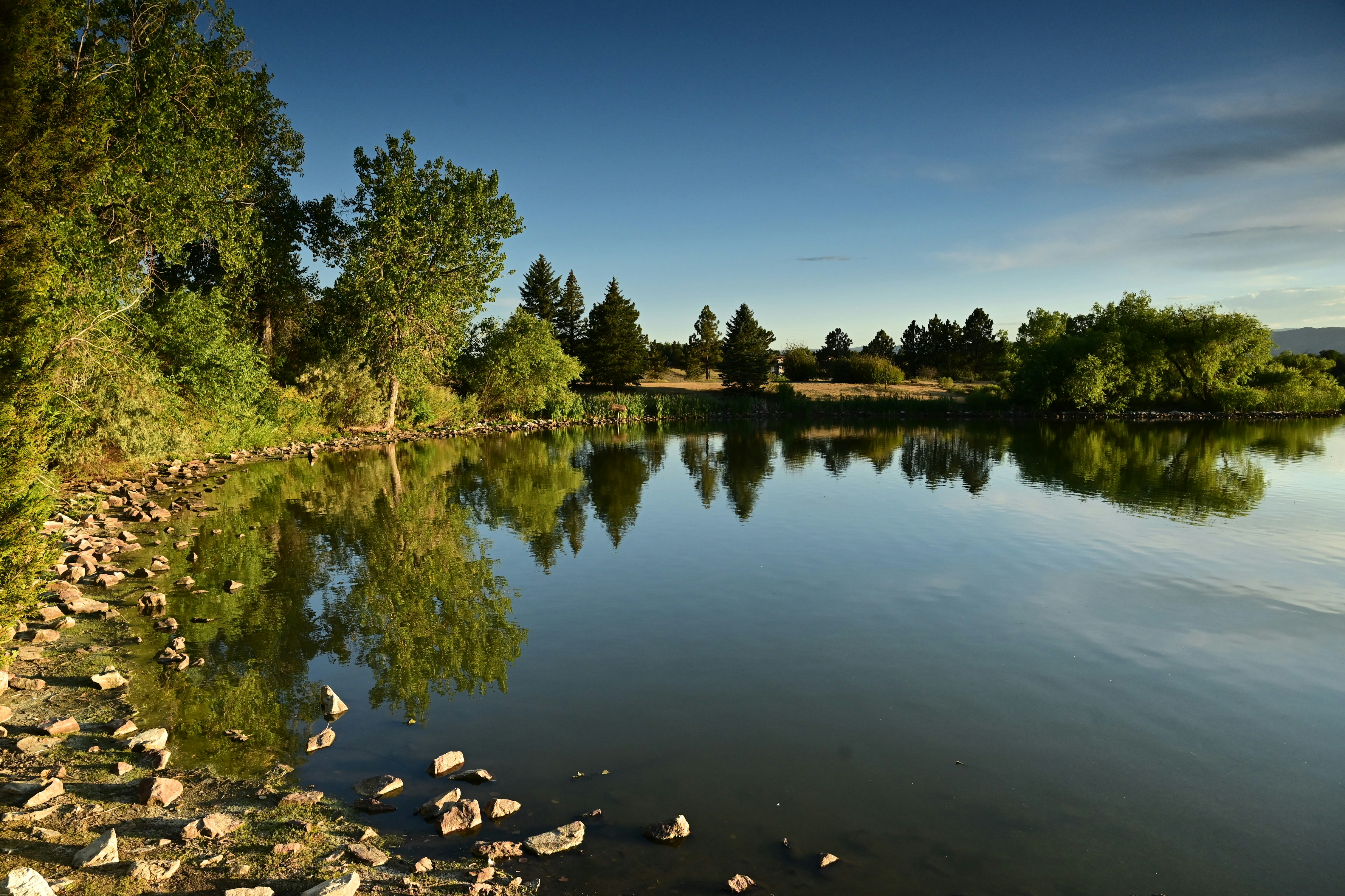 Calm Mirror: Riverside Trees Reflecting on Still Water at Dusk