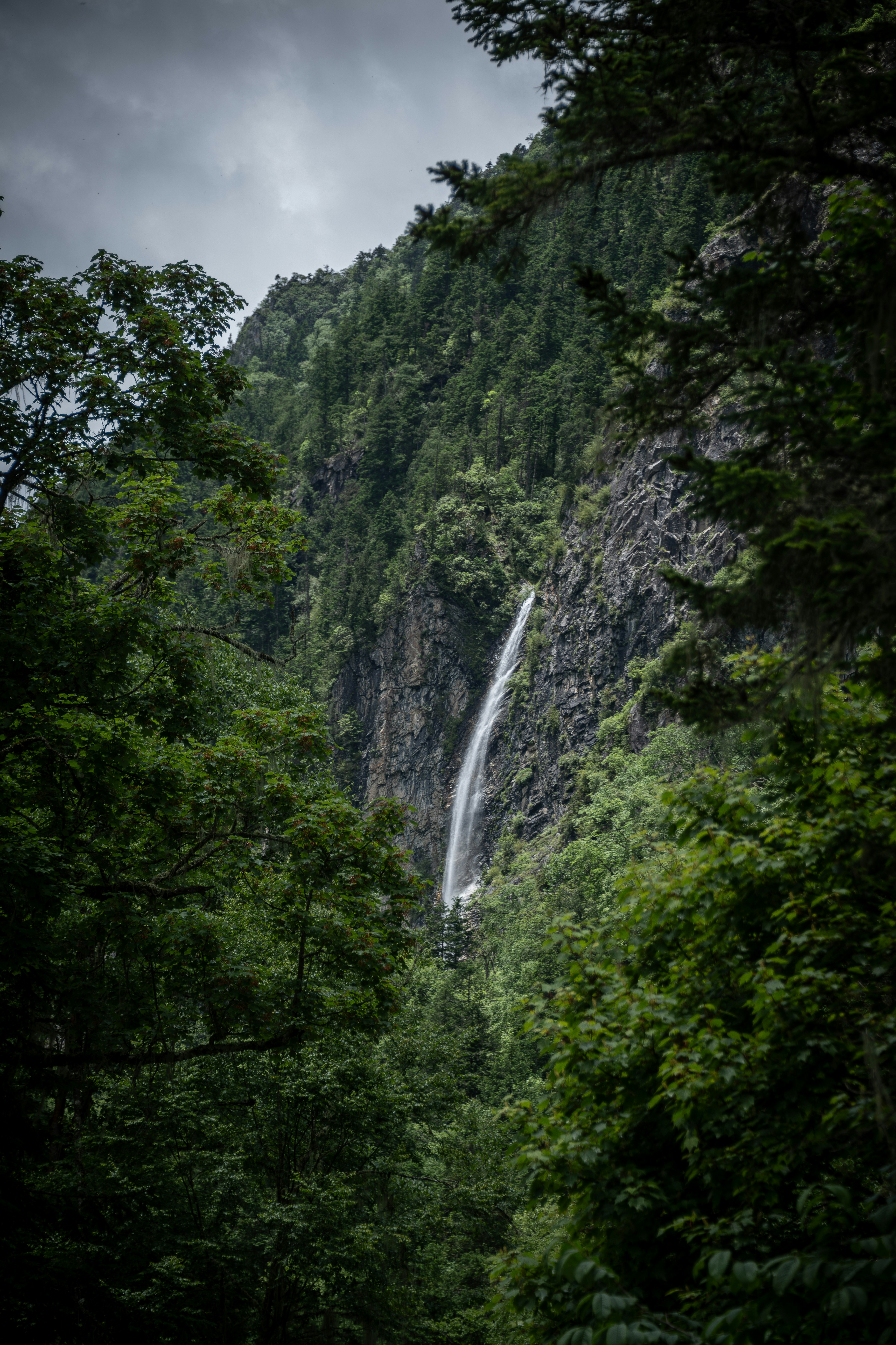 Aerial Veil: Narrow Cascade Between Green Walls
