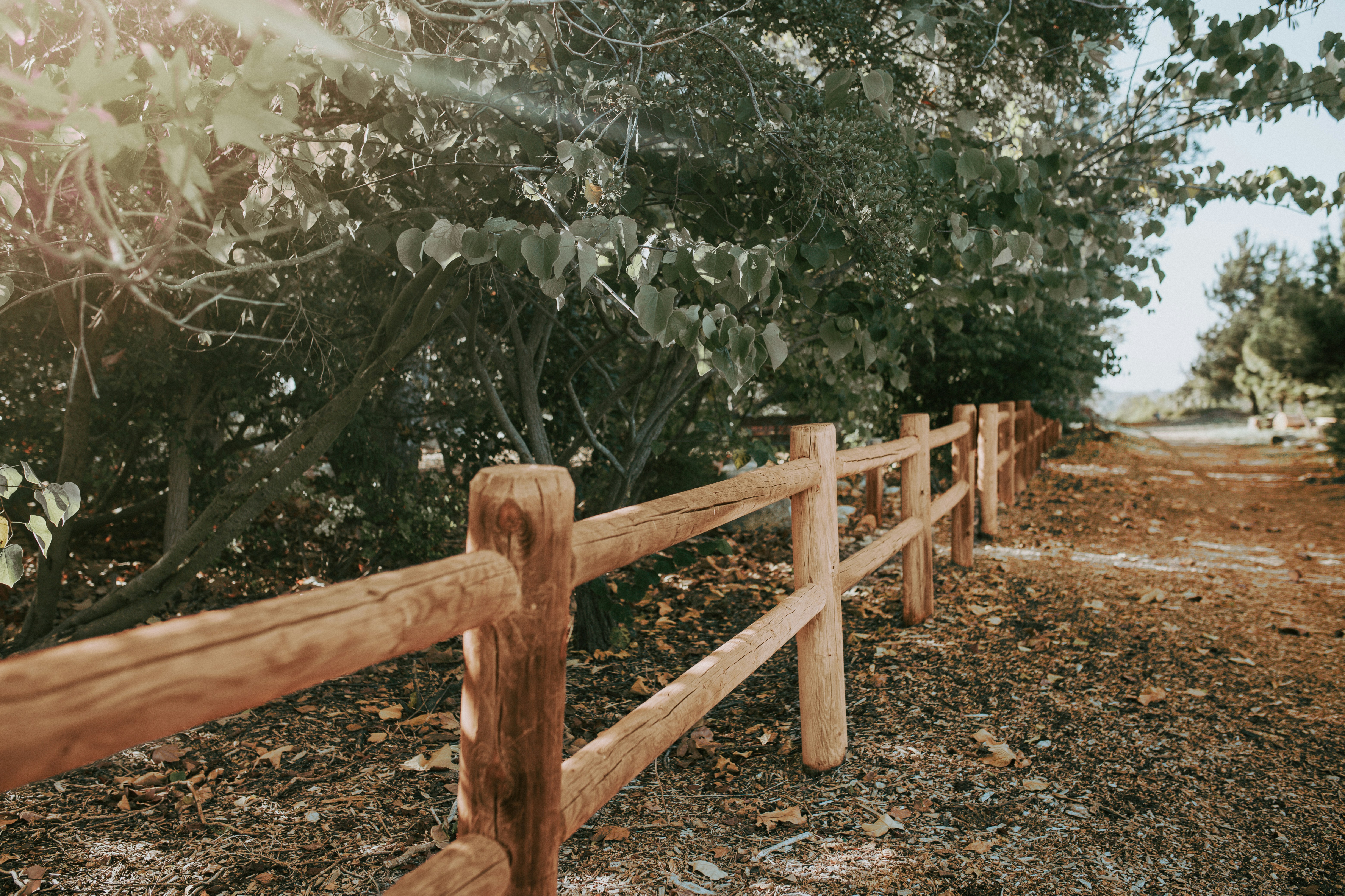Along the Quiet Rails of Light and Wood