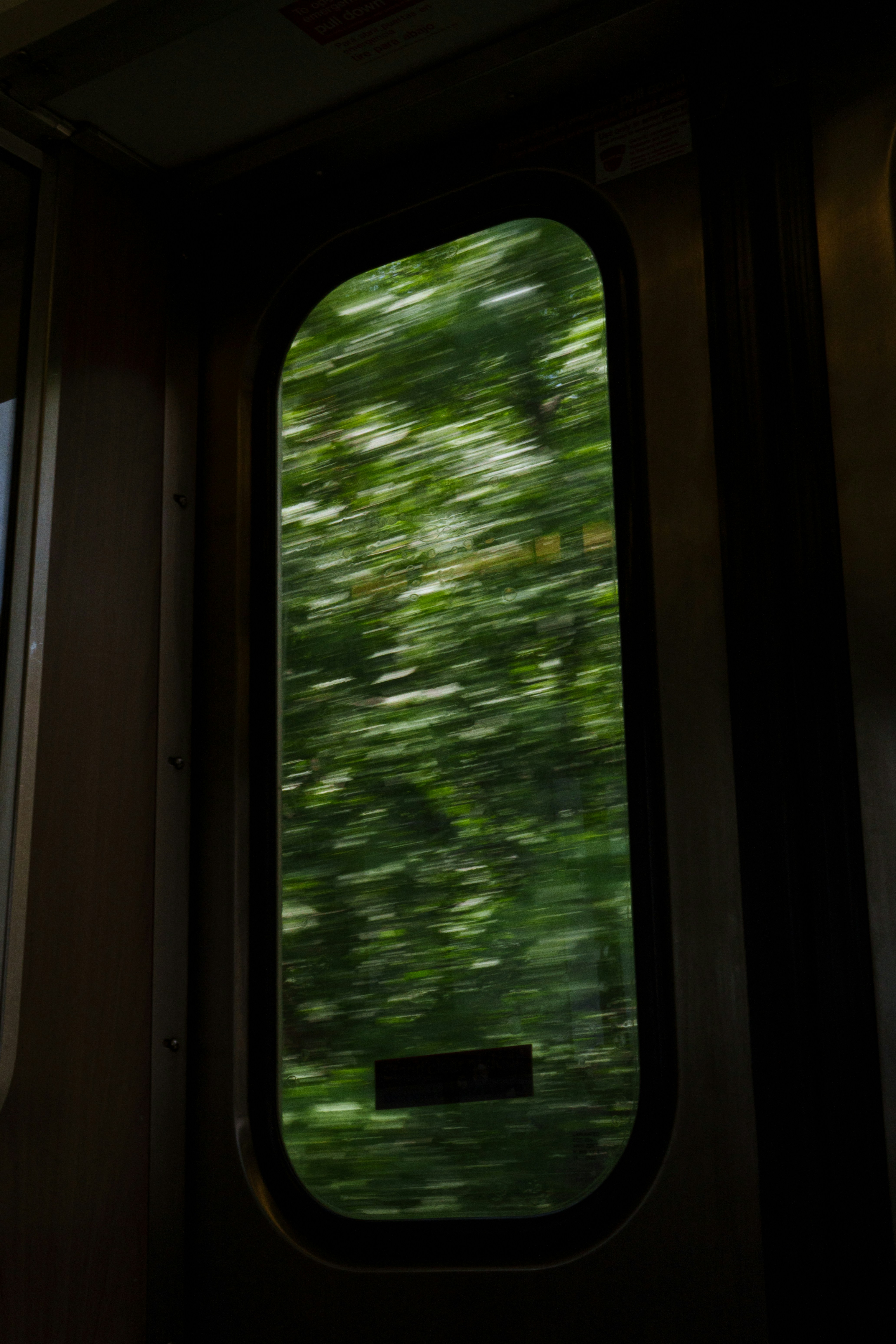 Green Blur Through a Train Window