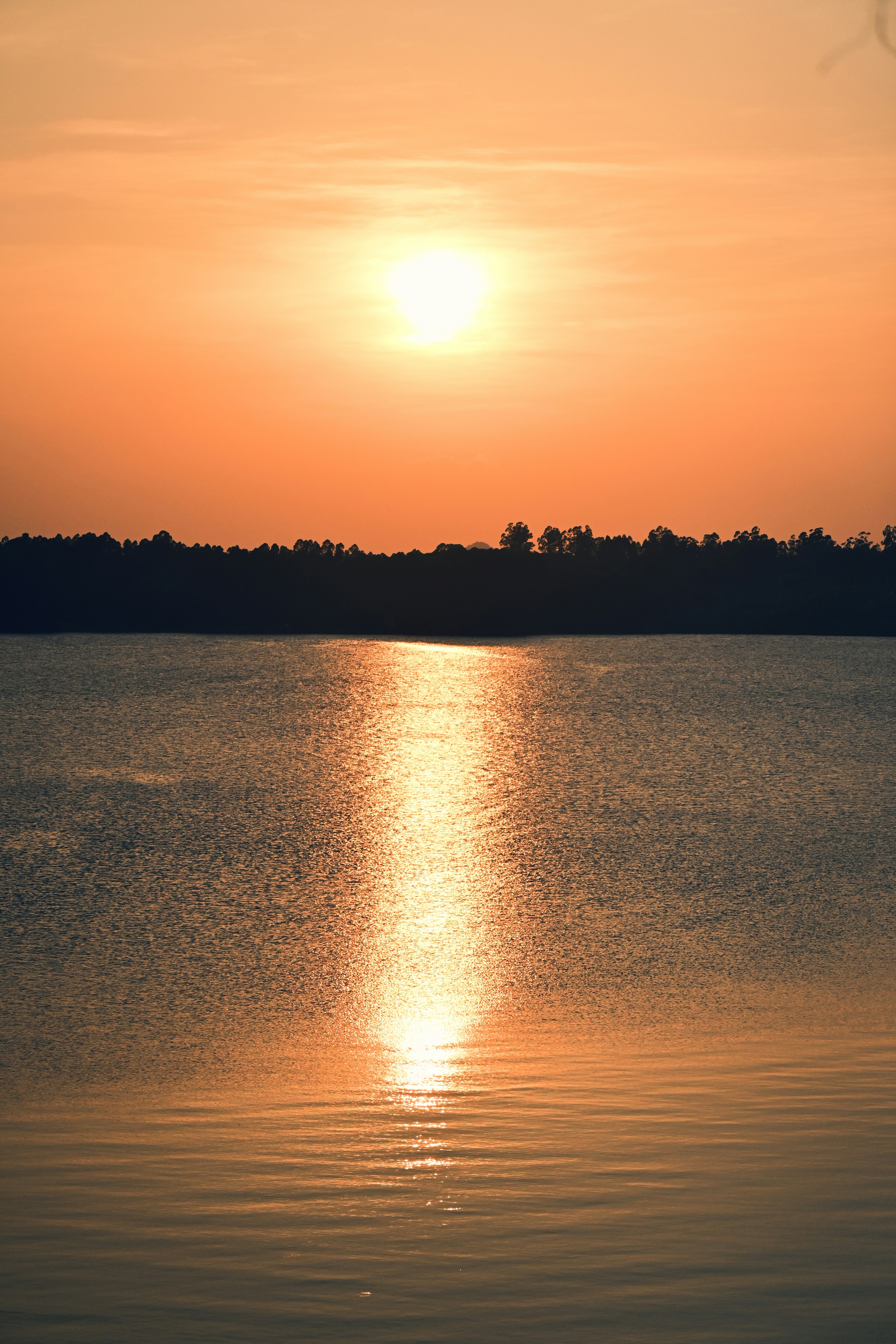 Sunset on the Quiet Lake: A Golden Path Across Rippling Water