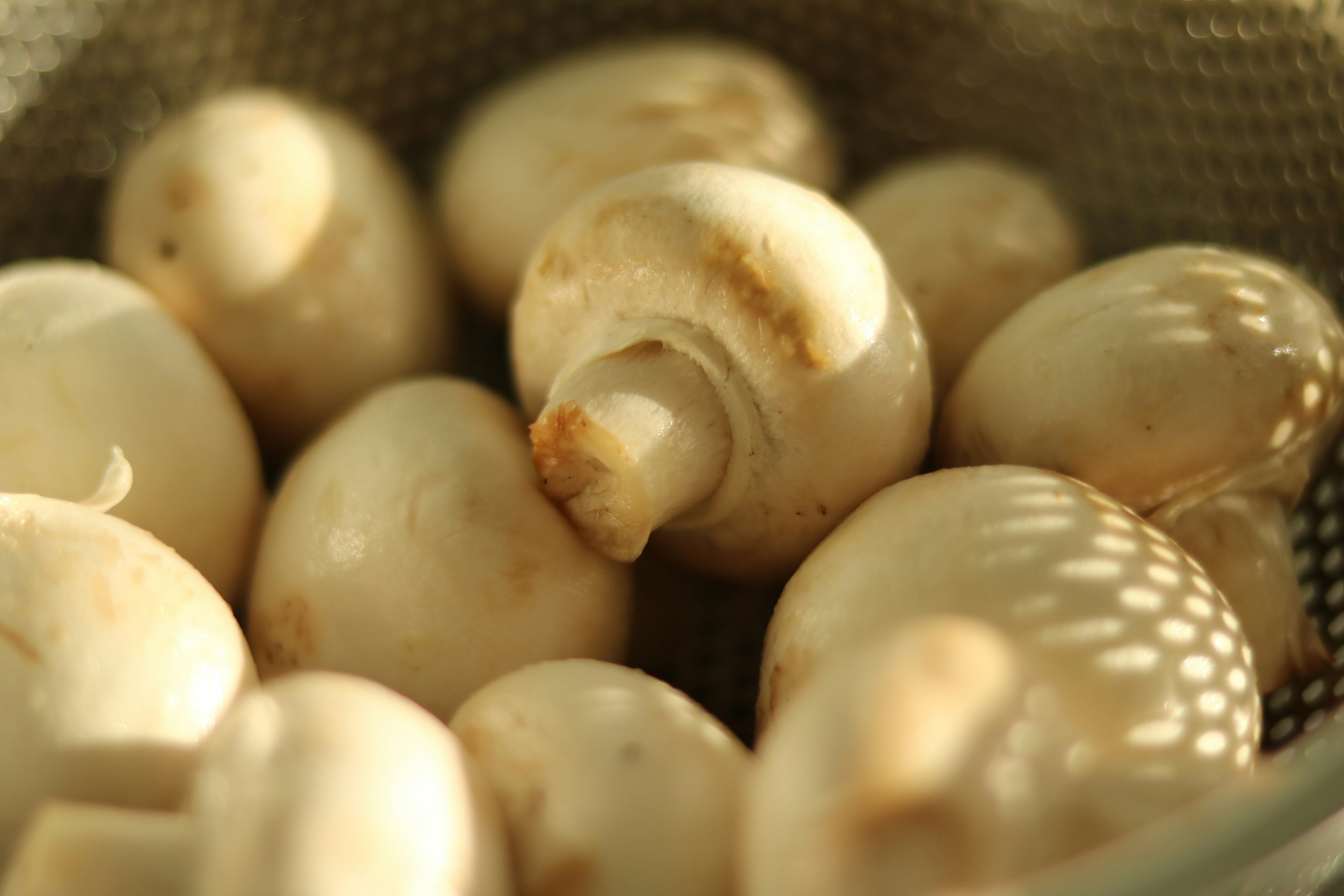 Cluster of white button mushrooms bathed in warm, diffuse light with a shallow depth of field highlighting a central cap; subtle mesh texture visible in background.