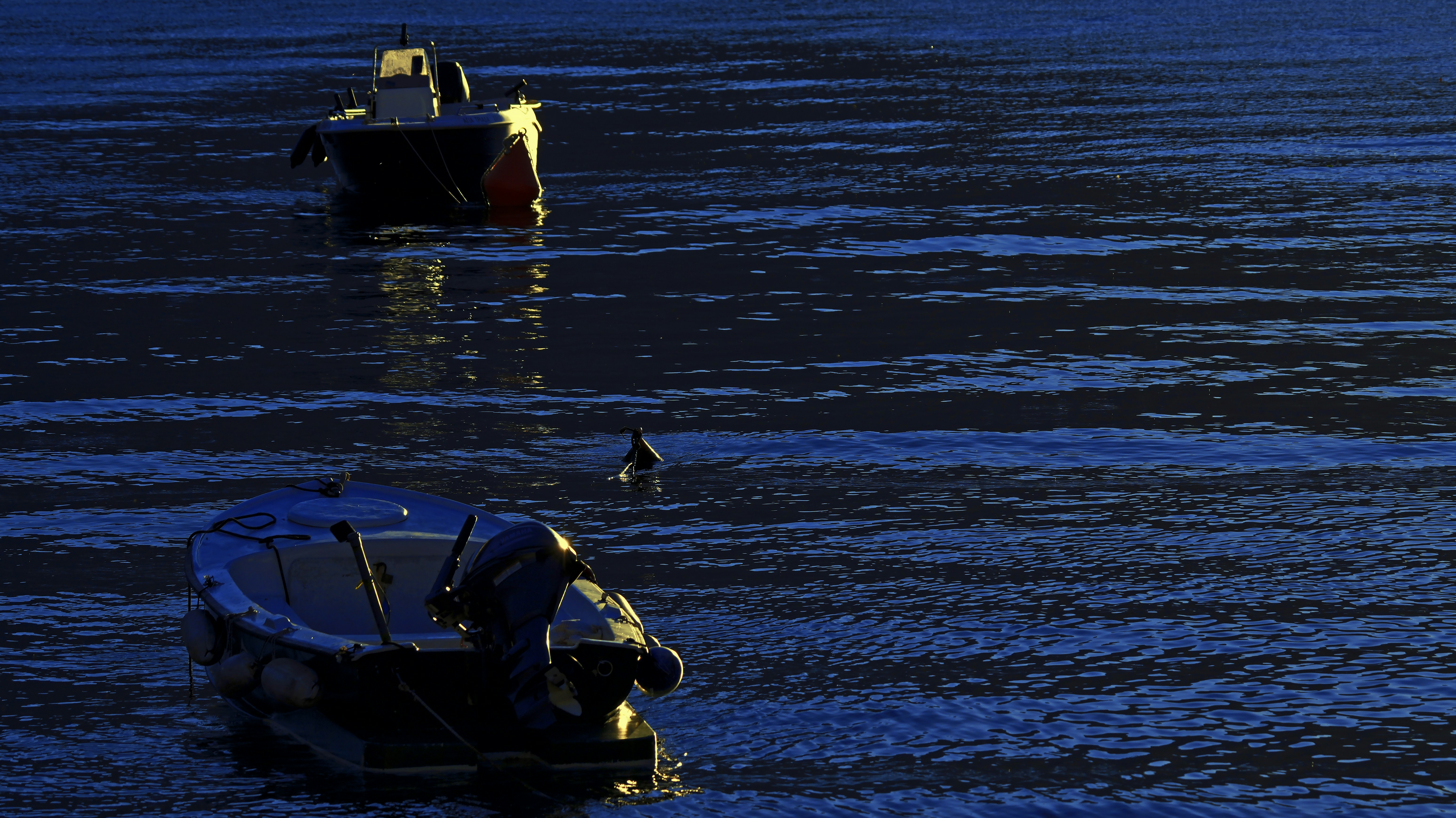Moonlit Boats on a Quiet Midnight Sea