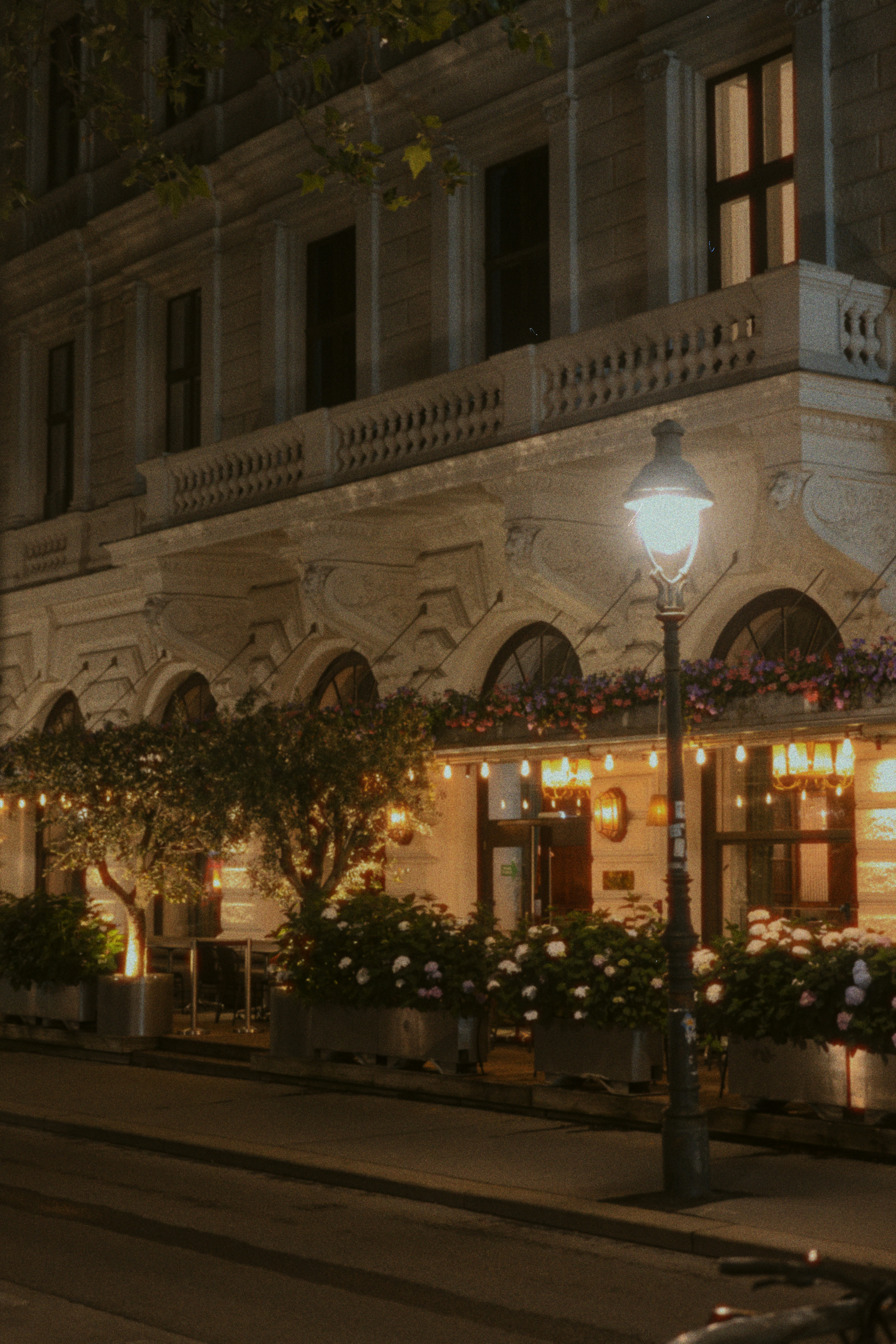 Night storefront in warm glow with a lone streetlamp and hanging blossoms