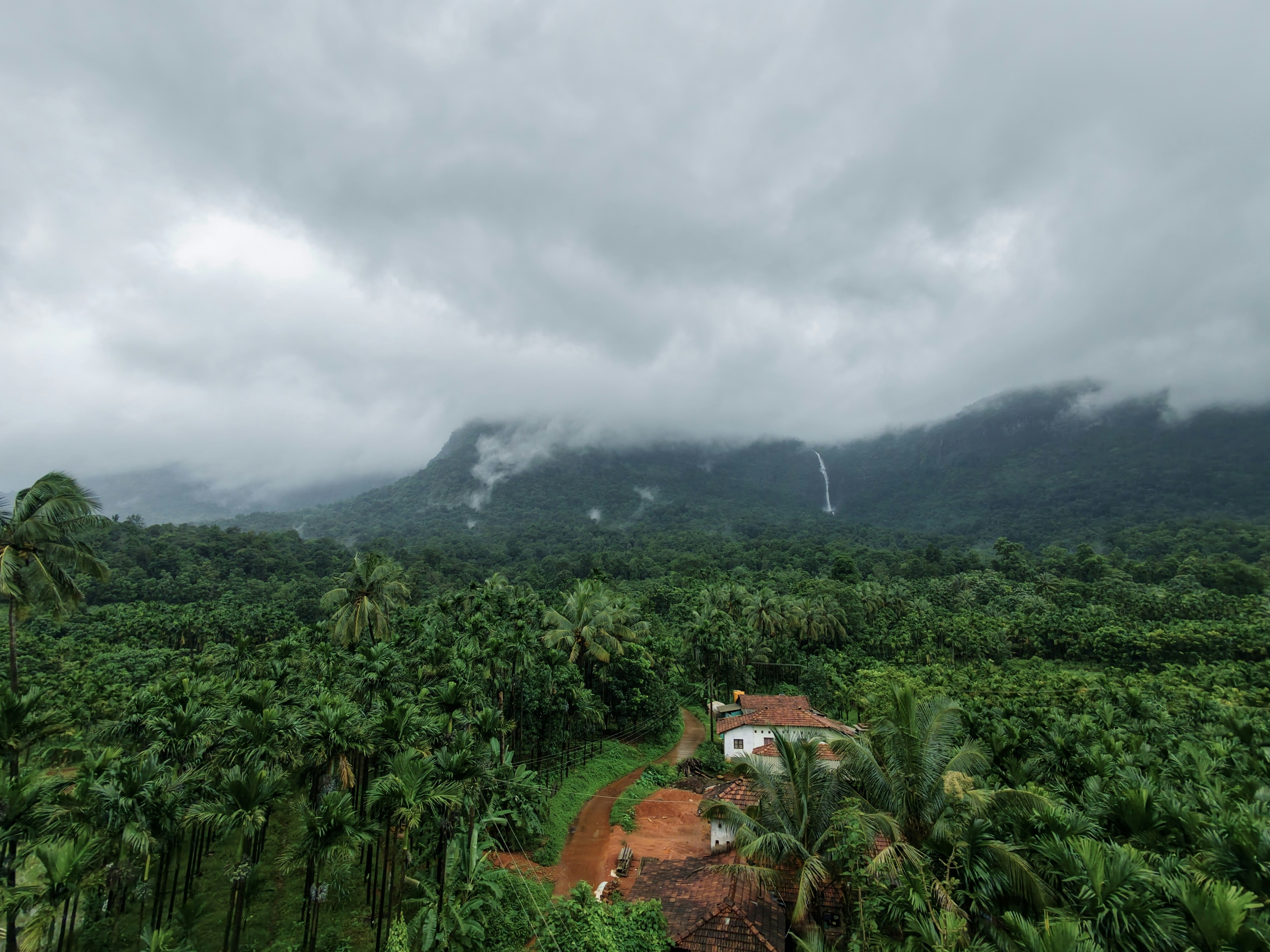 Verdant valley under stormy skies, a lone homestead amid tropical palms
