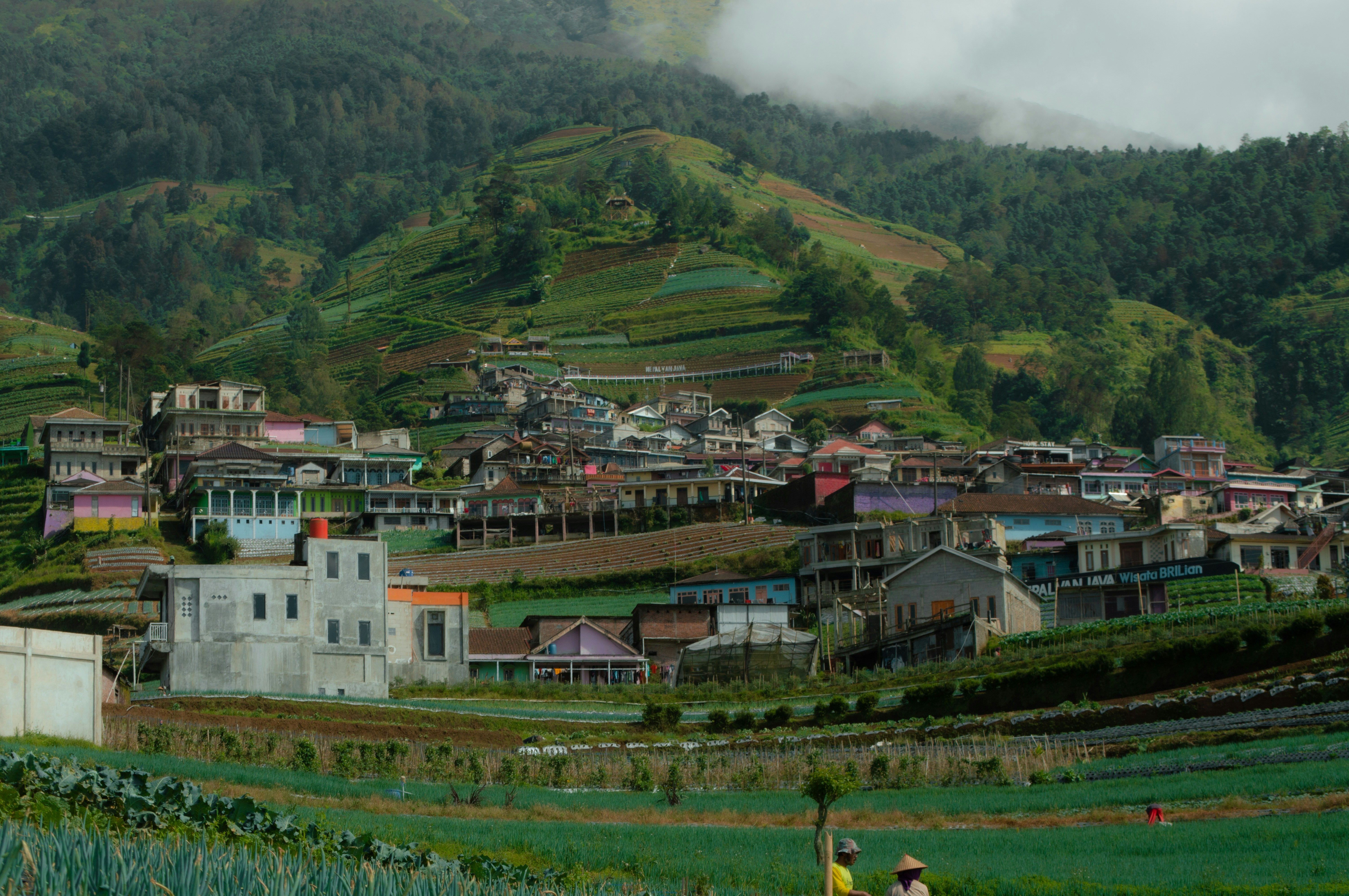 Terraced Village Nestled in the Green Hills
