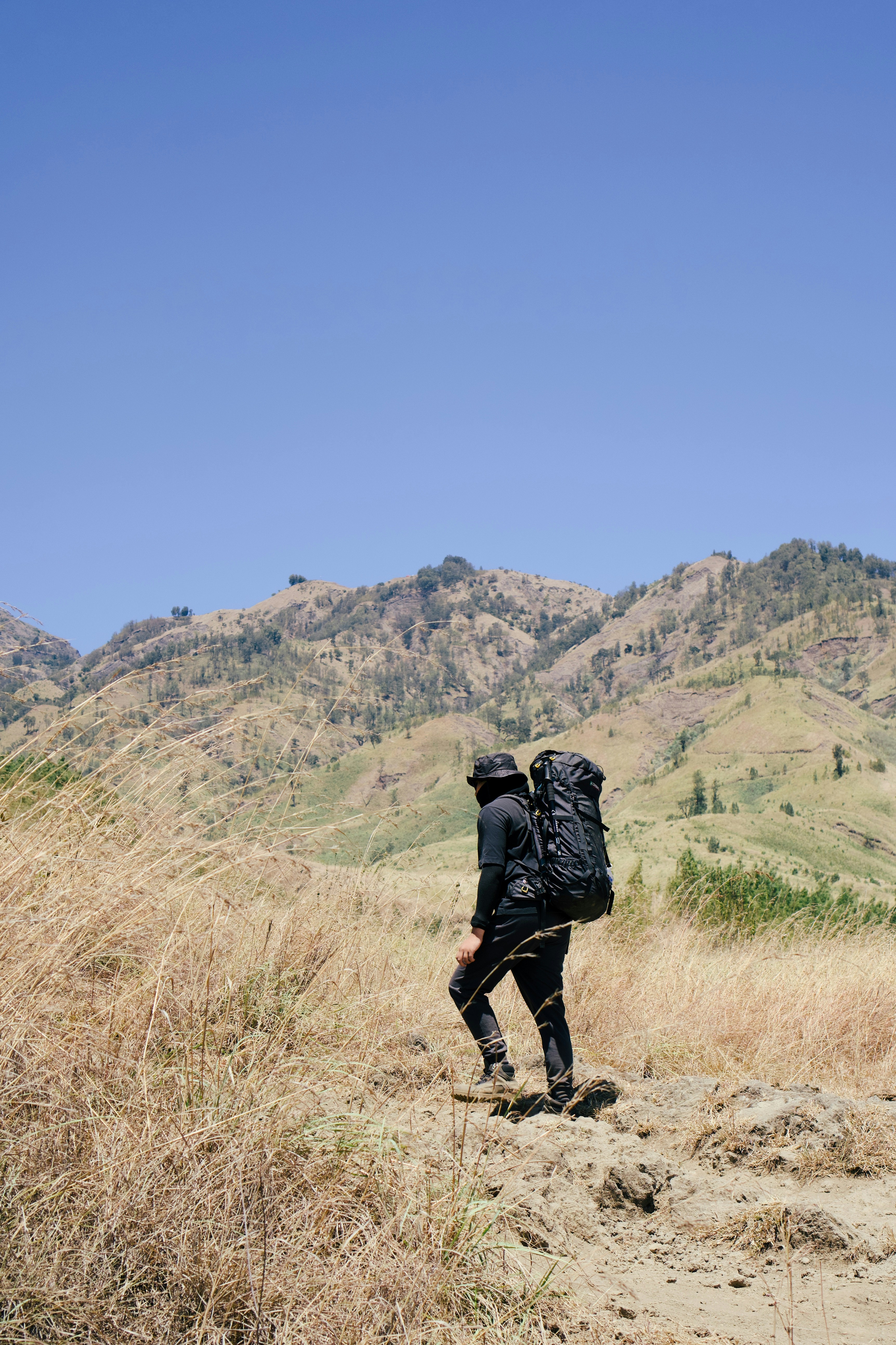 Hiker Traverses Golden Grassland Beneath Broad Blue Sky
