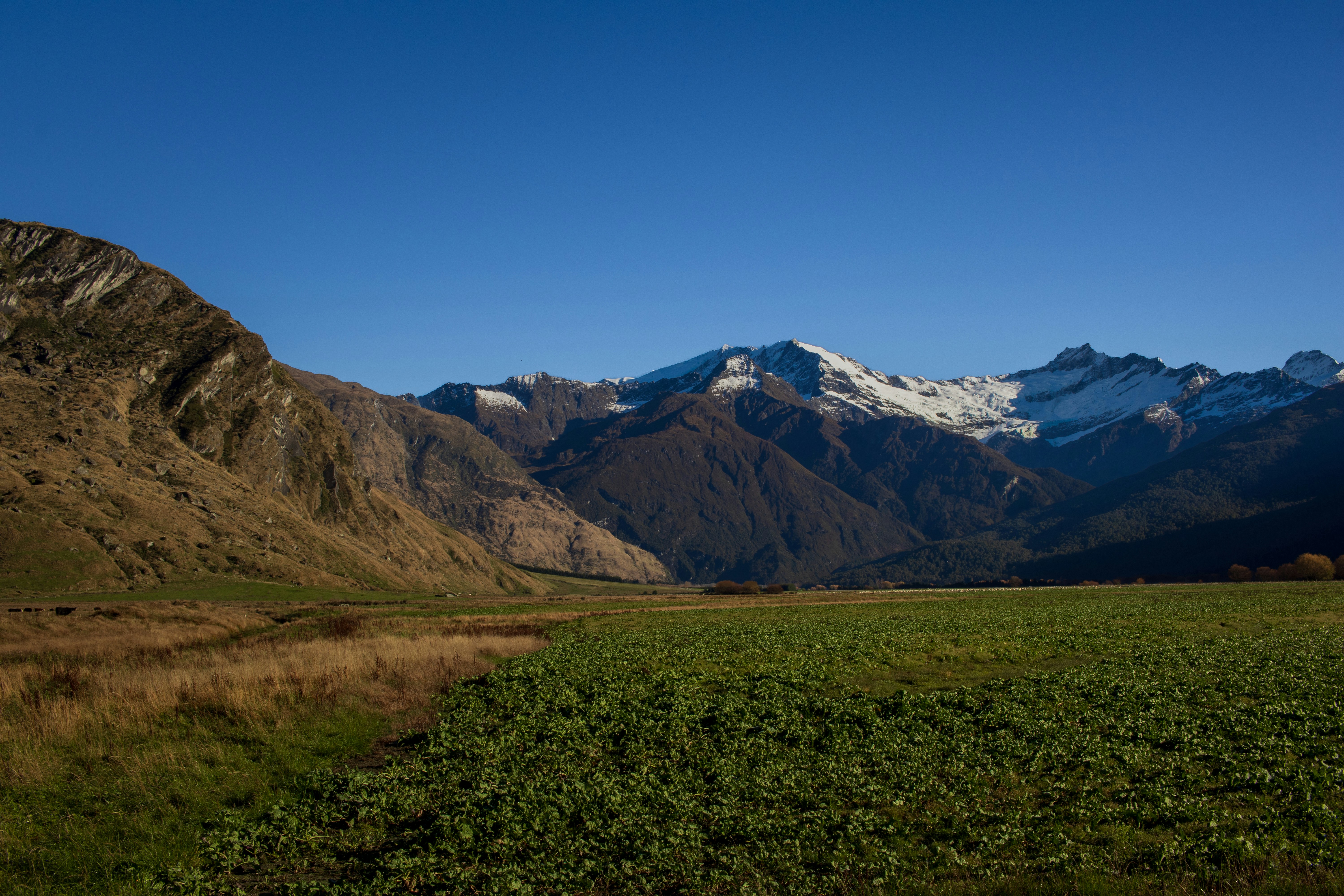 Snow-kissed Peaks Over Verdant Plain