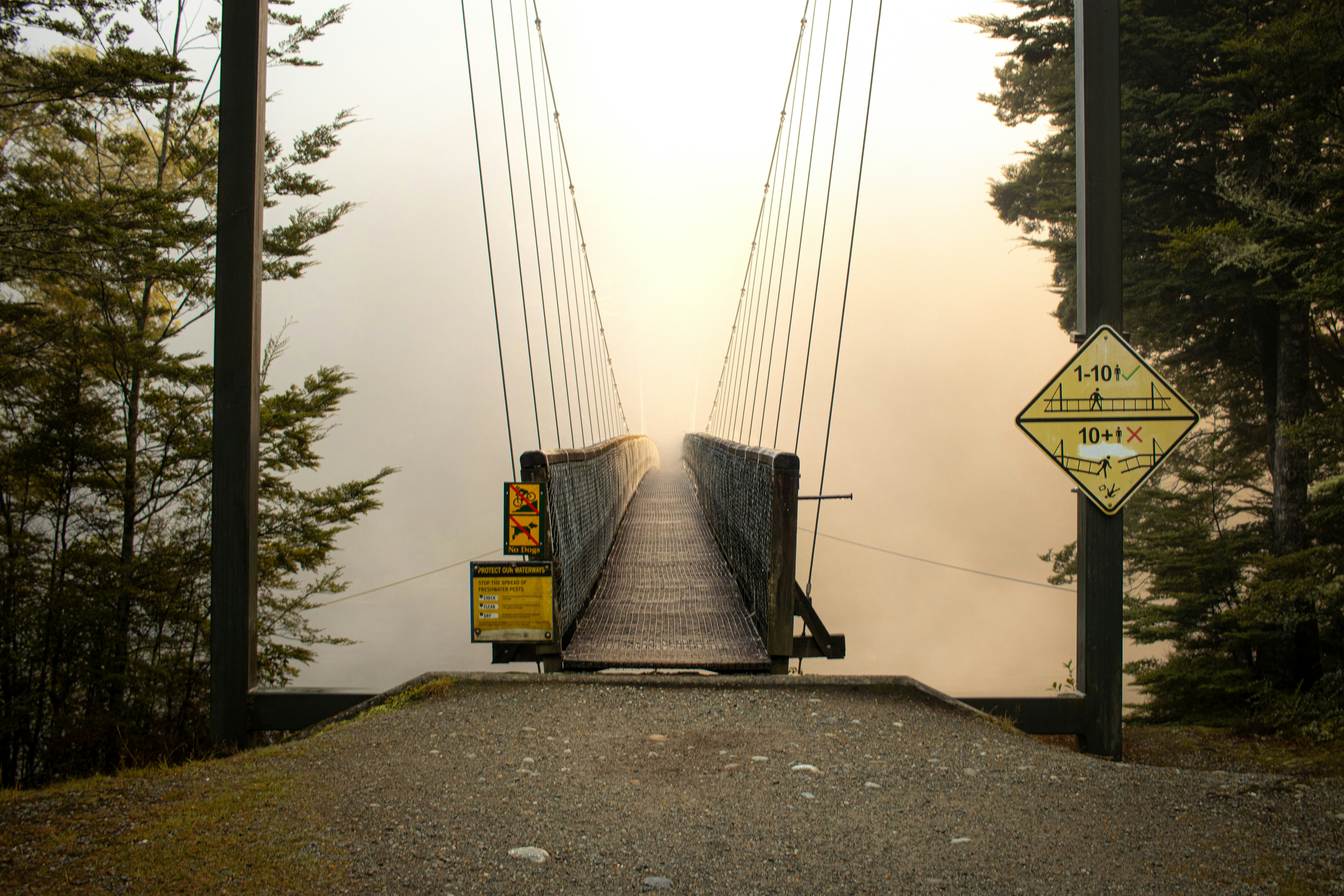 Suspension Bridge into Mist: A Path Through Quiet Elevation
