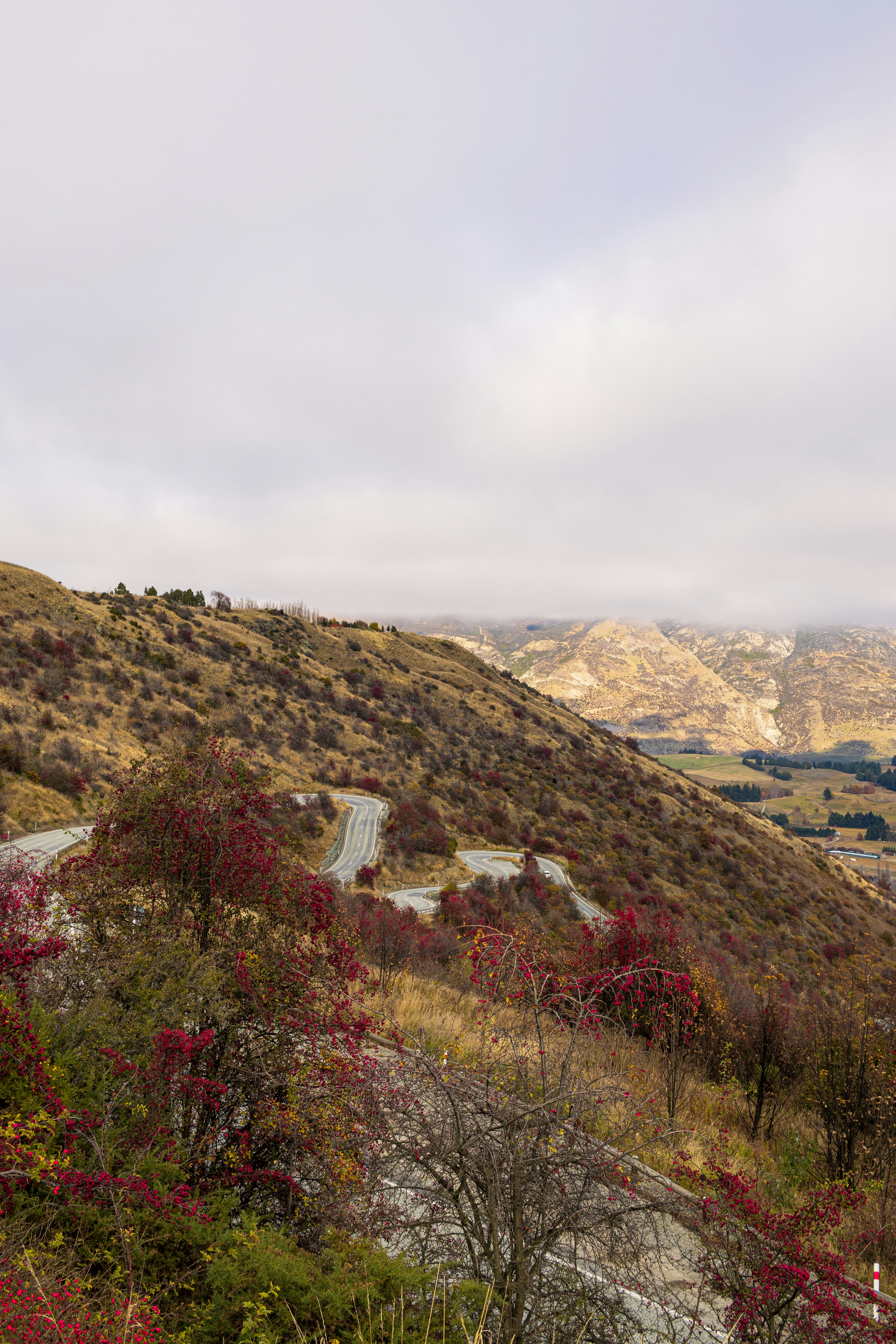 Winding Road Through Golden Hills