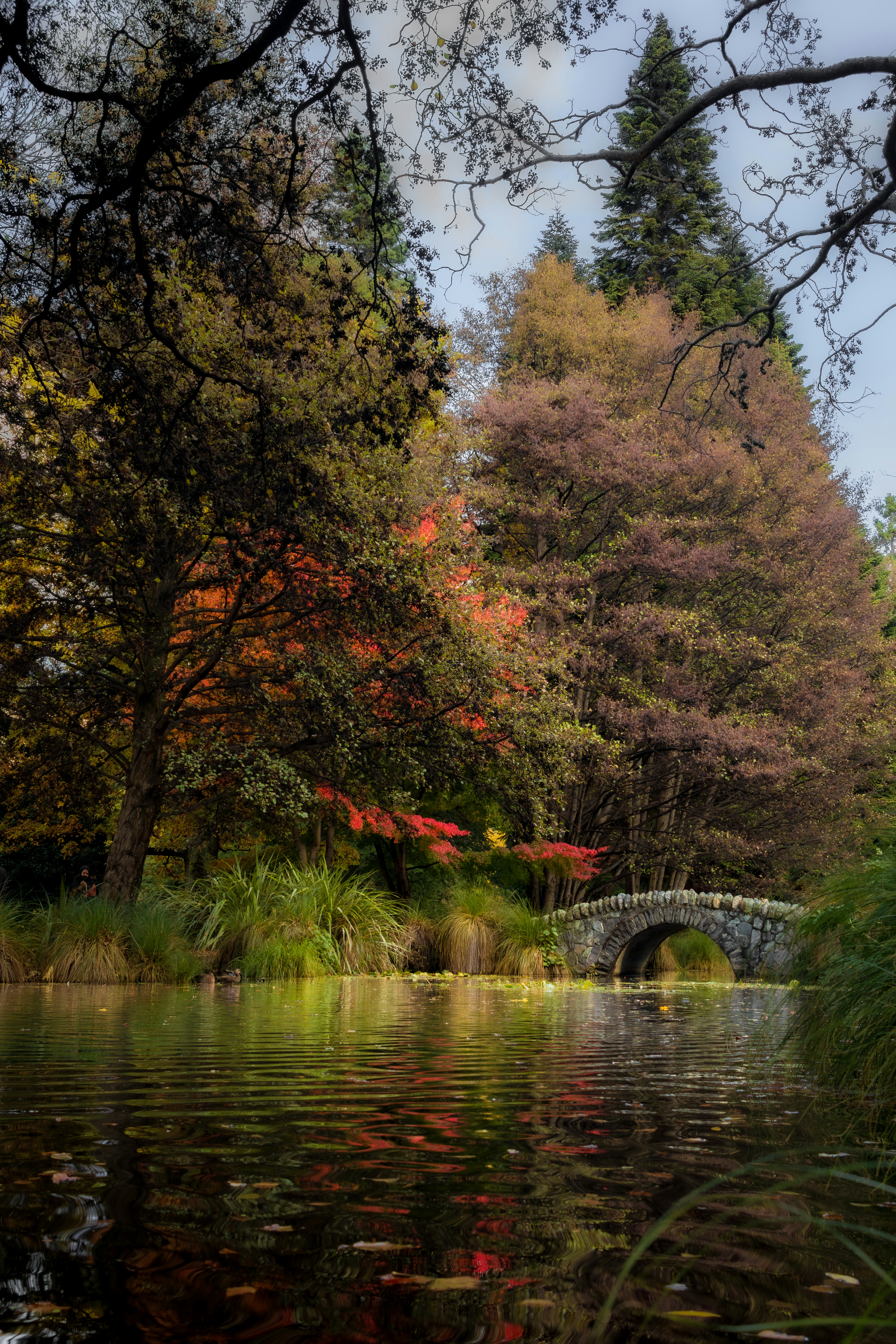 Autumn Arc: Serene Pond and Stone Bridge Framed by Colorful Foliage