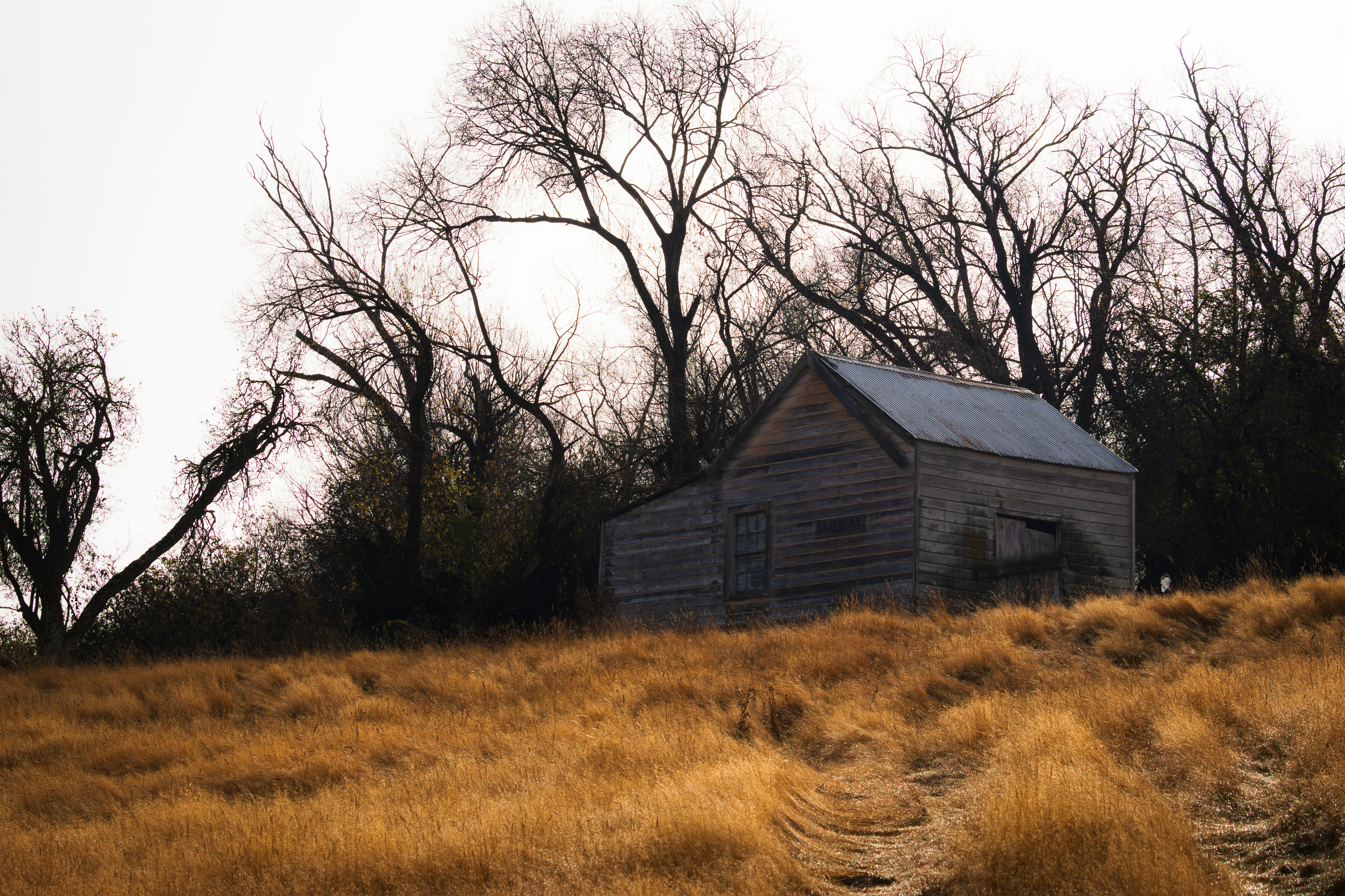 Abandoned Weathered Barn on Wind-Swept Hill