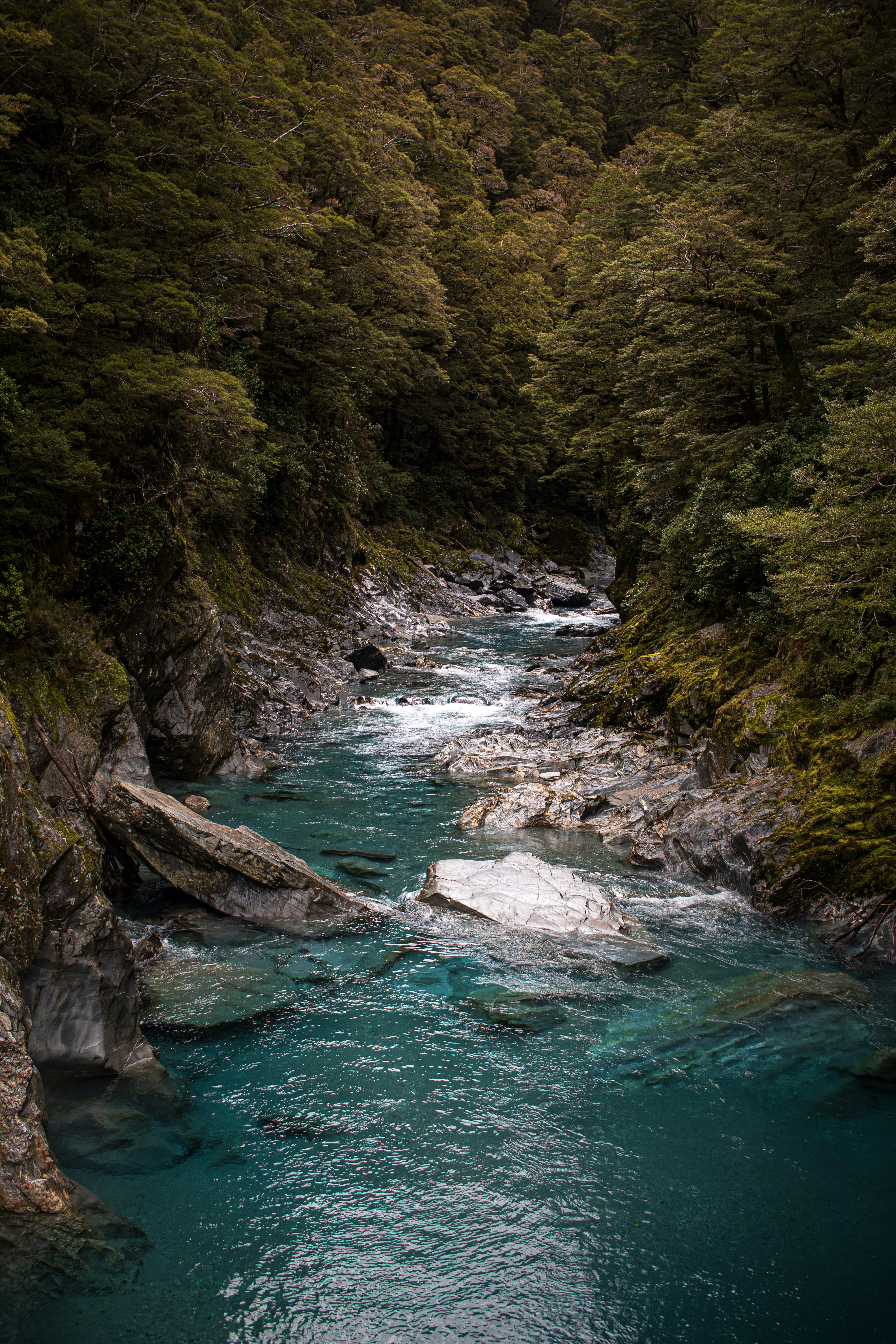 Turquoise River Wadows Through a Verdant Gorge