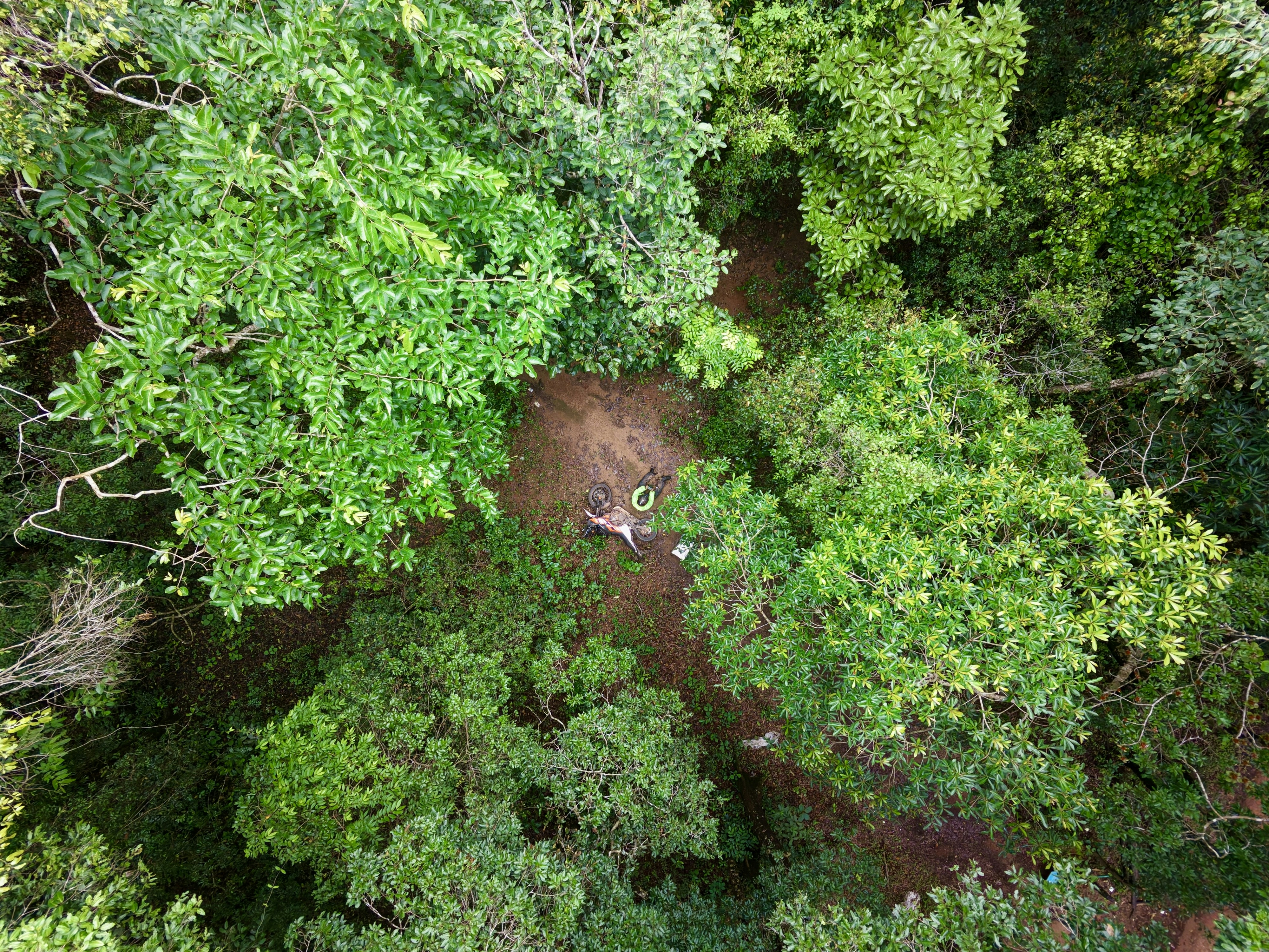 Midfield Clearing: A Drone’s View into a Quiet Green Ring